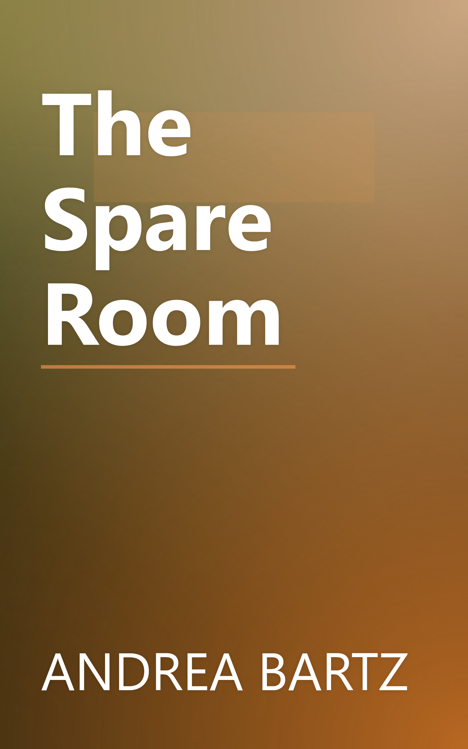 The Spare Room book cover