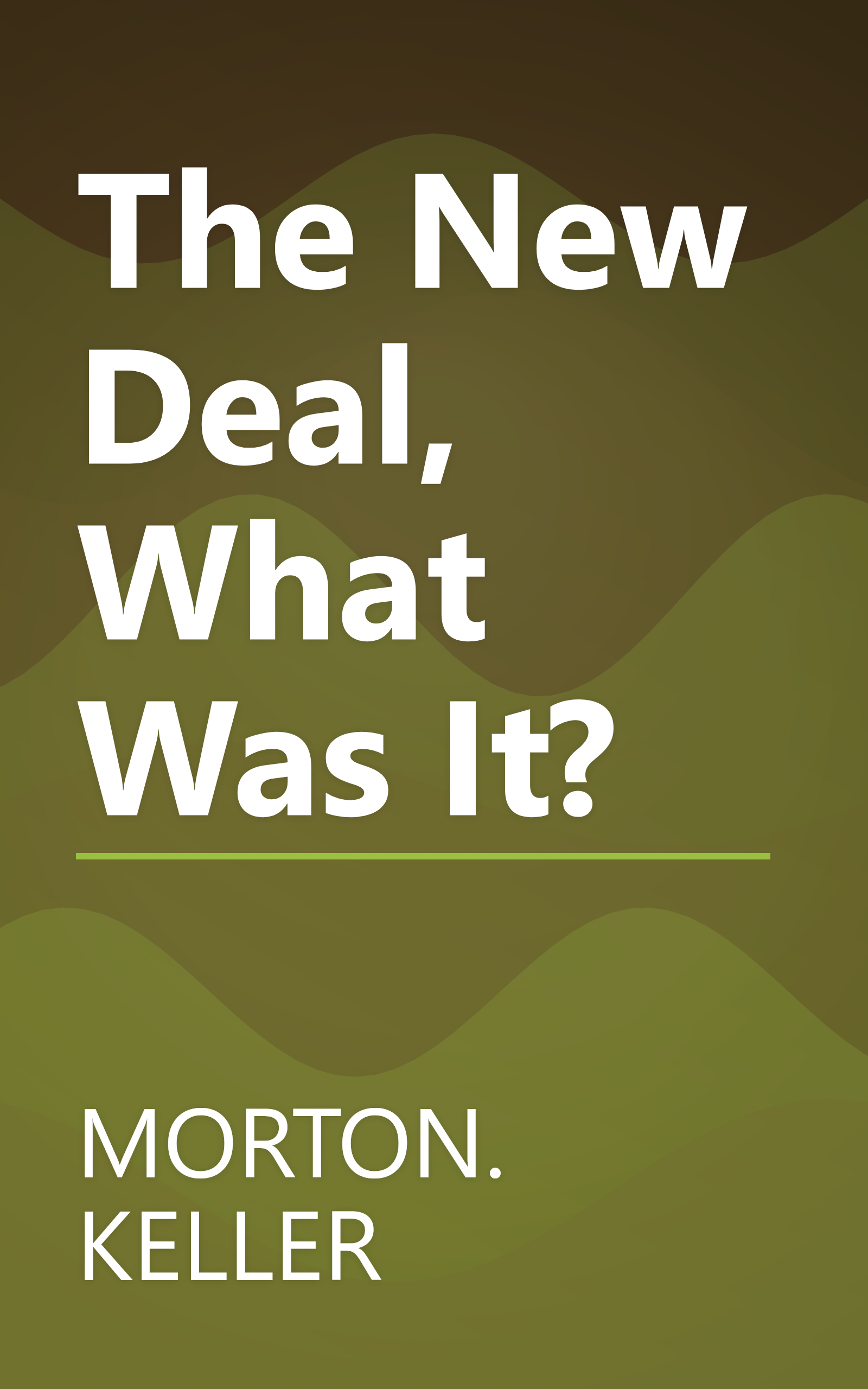 The New Deal, What Was It? book cover