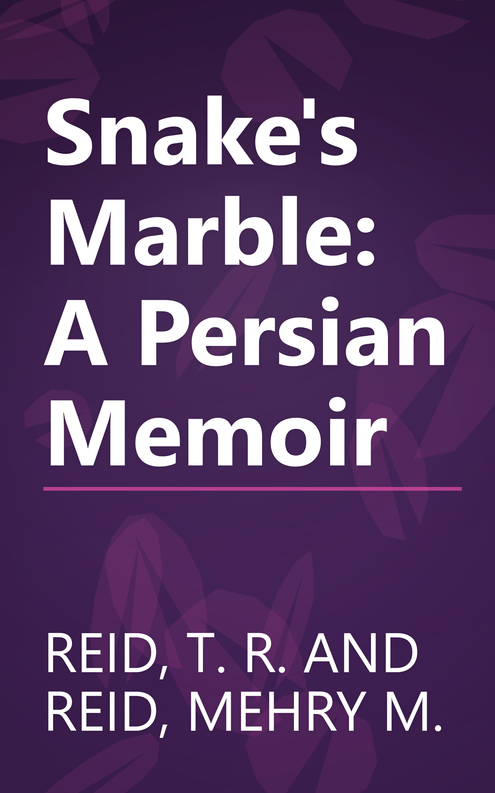 Snake's Marble: A Persian Memoir book cover