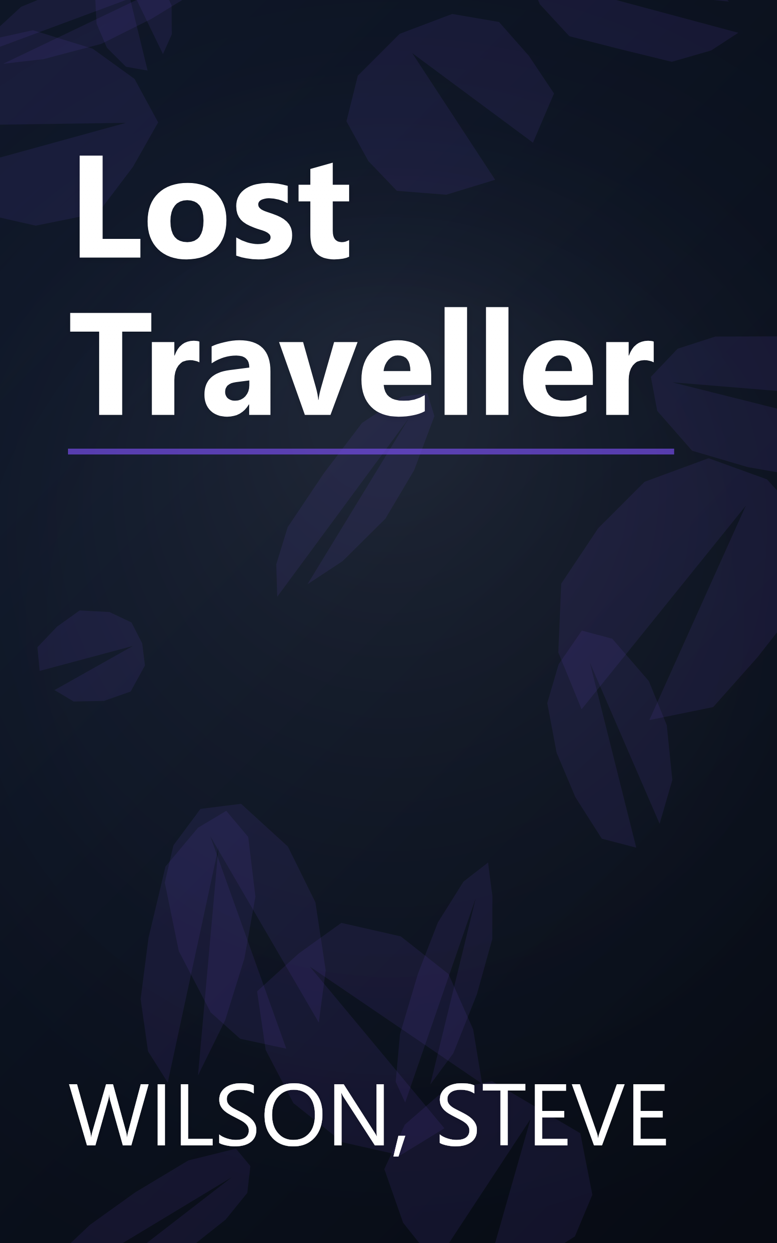 Lost Traveller book cover