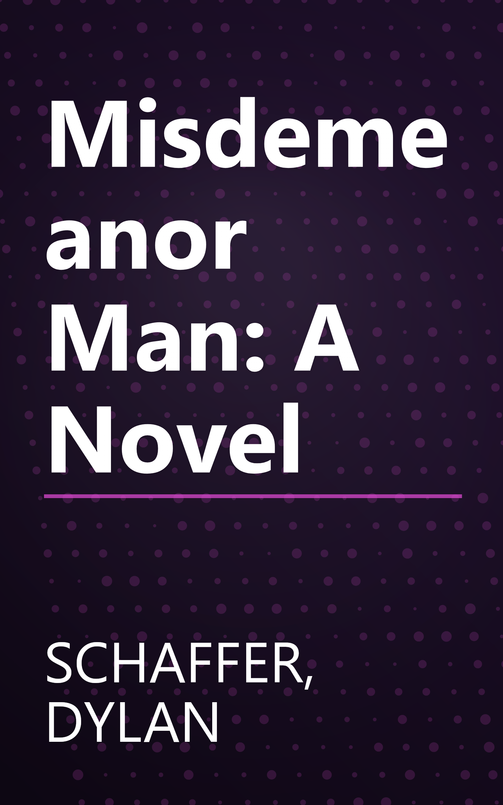 Misdemeanor Man: A Novel book cover