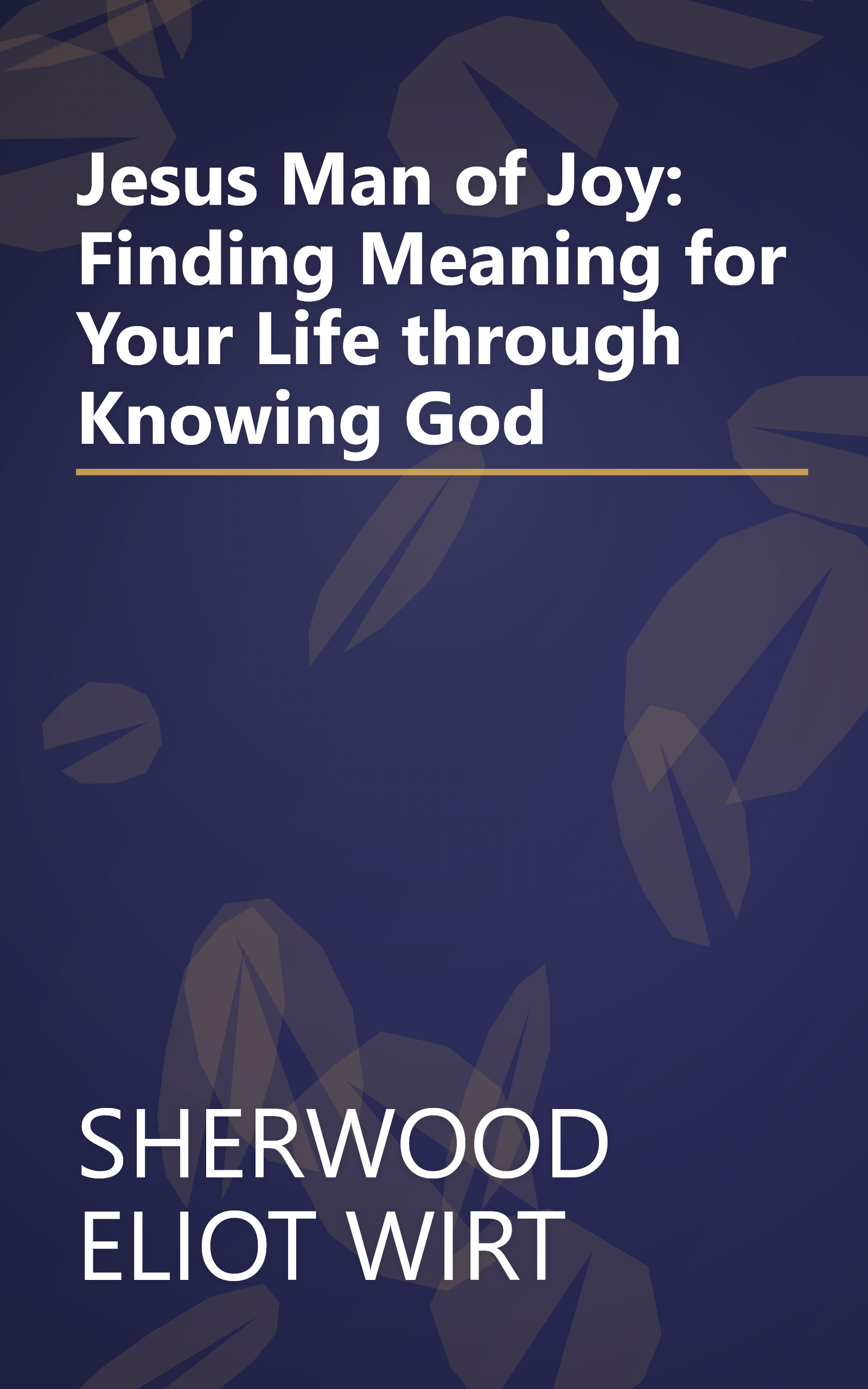 Jesus Man of Joy: Finding Meaning for Your Life through Knowing God book cover
