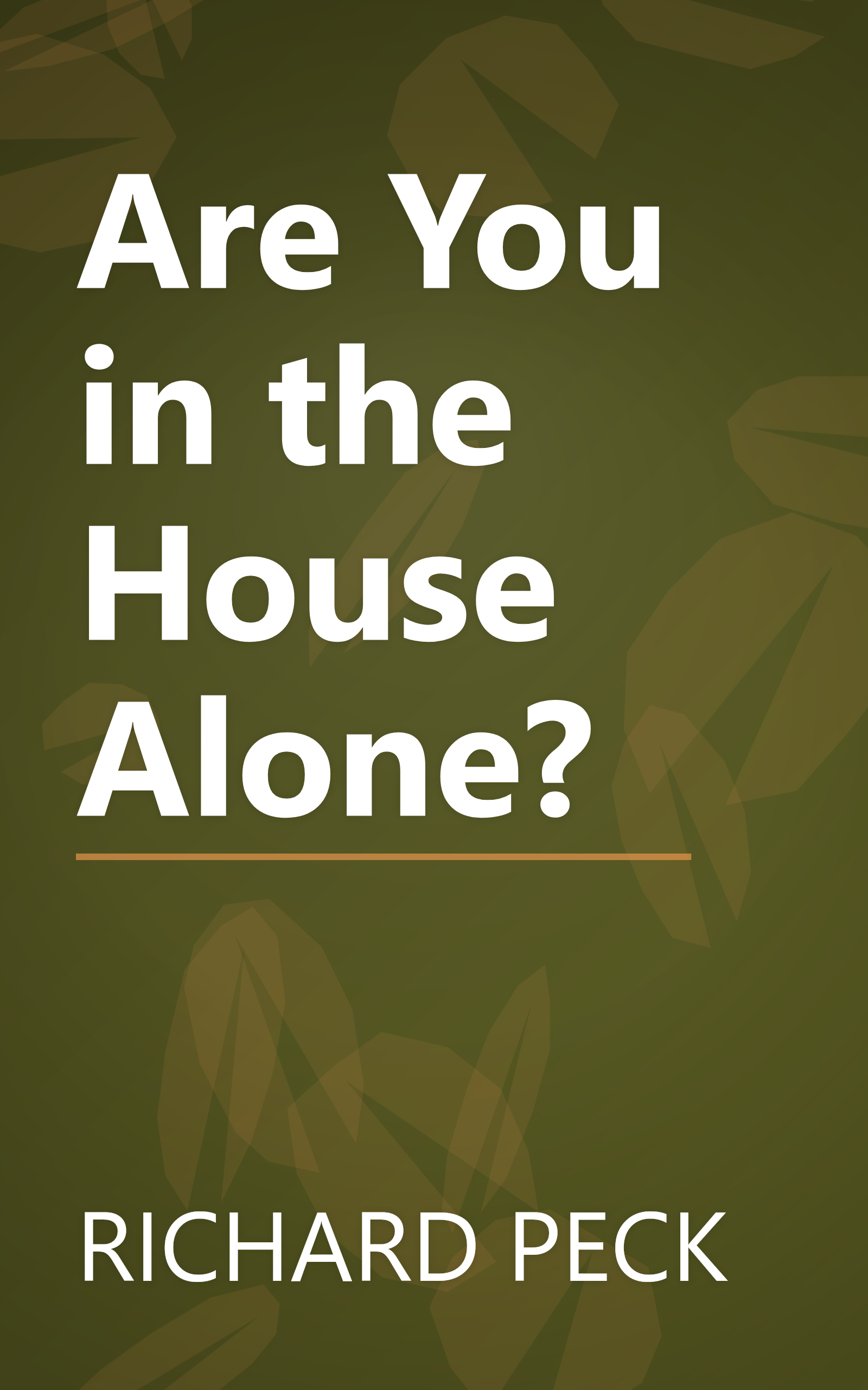 Are You in the House Alone? book cover