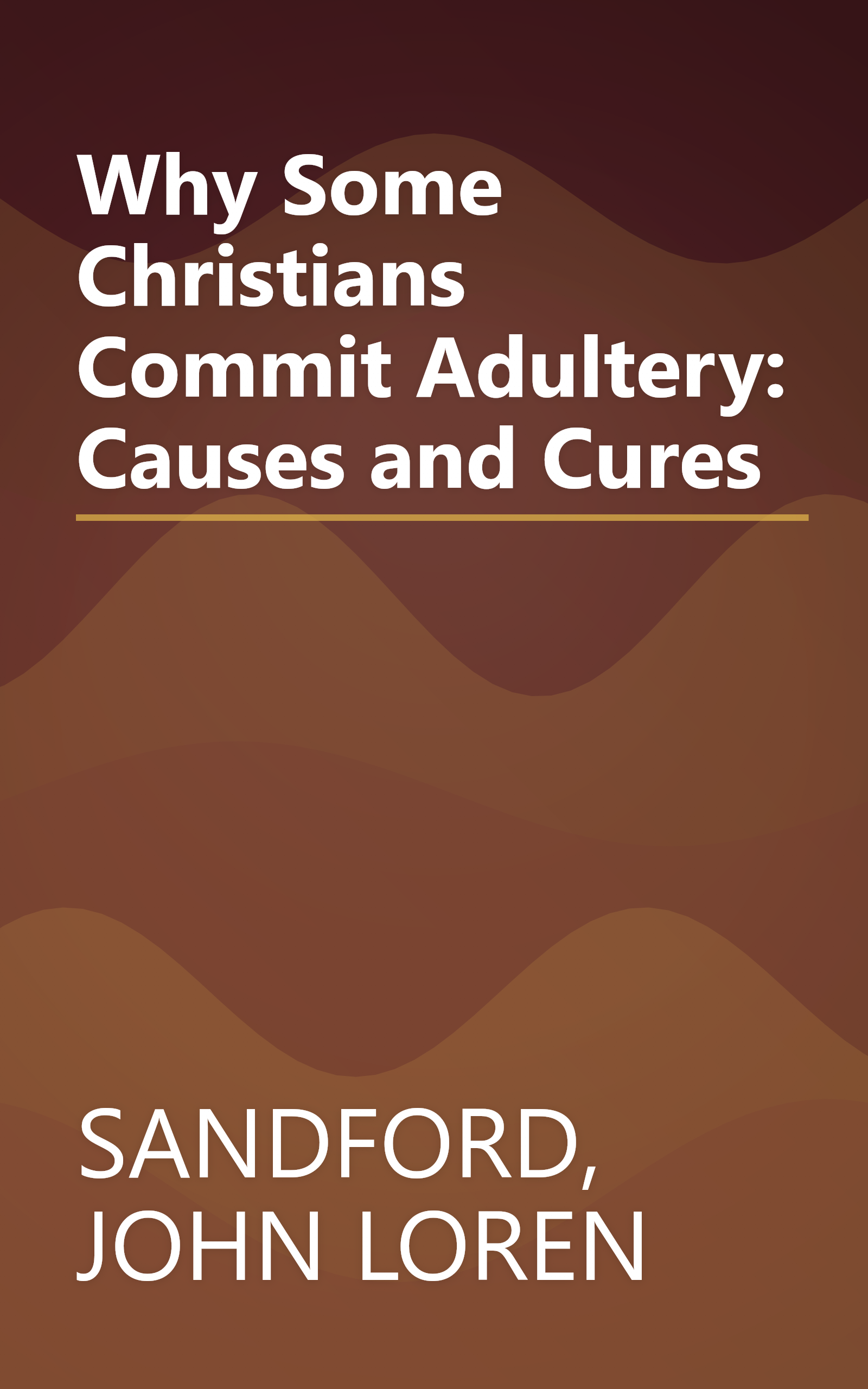 Why Some Christians Commit Adultery: Causes and Cures book cover