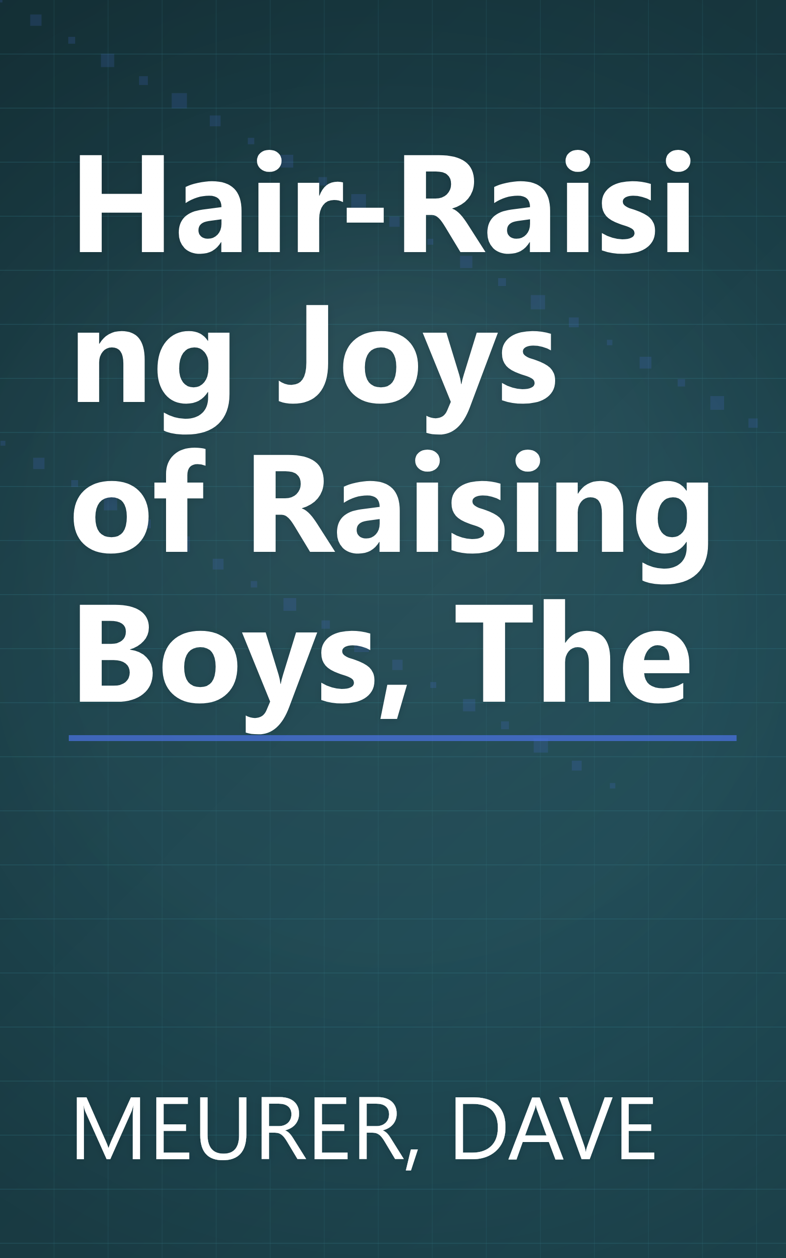 Hair-Raising Joys of Raising Boys, The book cover