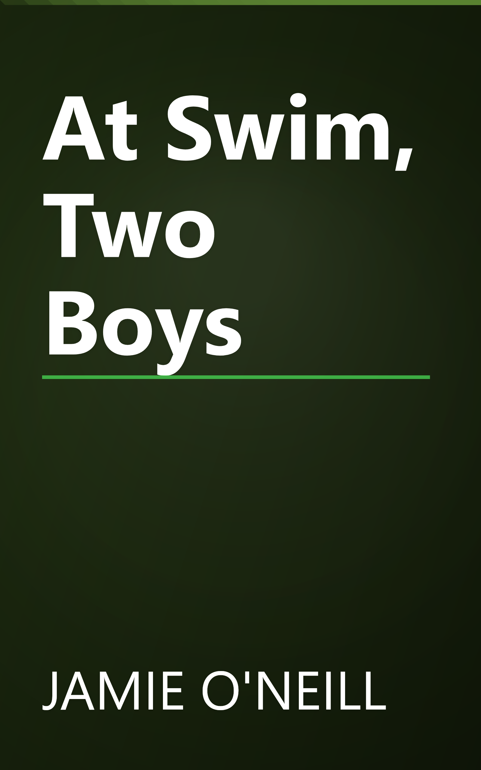 At Swim, Two Boys book cover