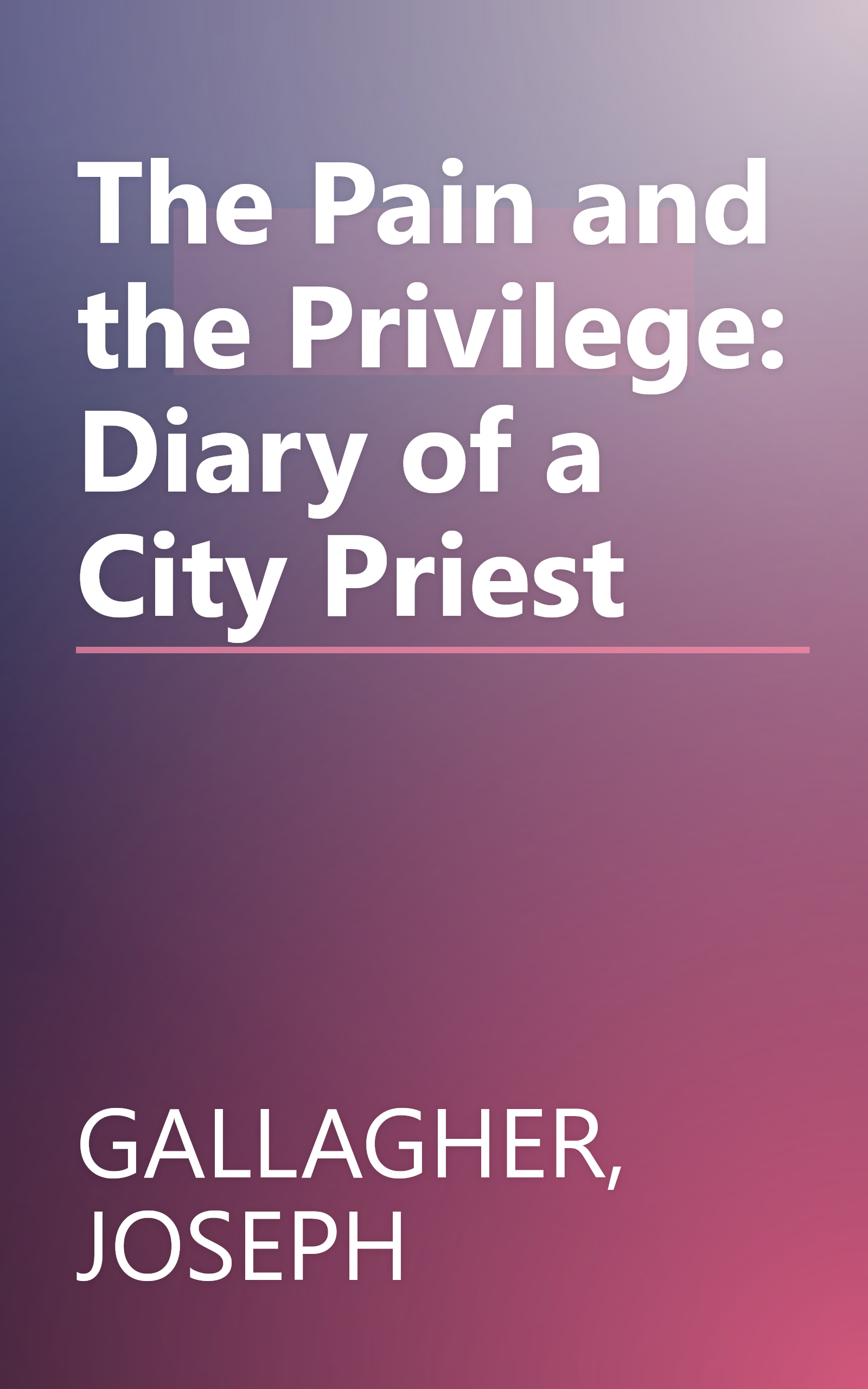 The Pain and the Privilege: Diary of a City Priest book cover