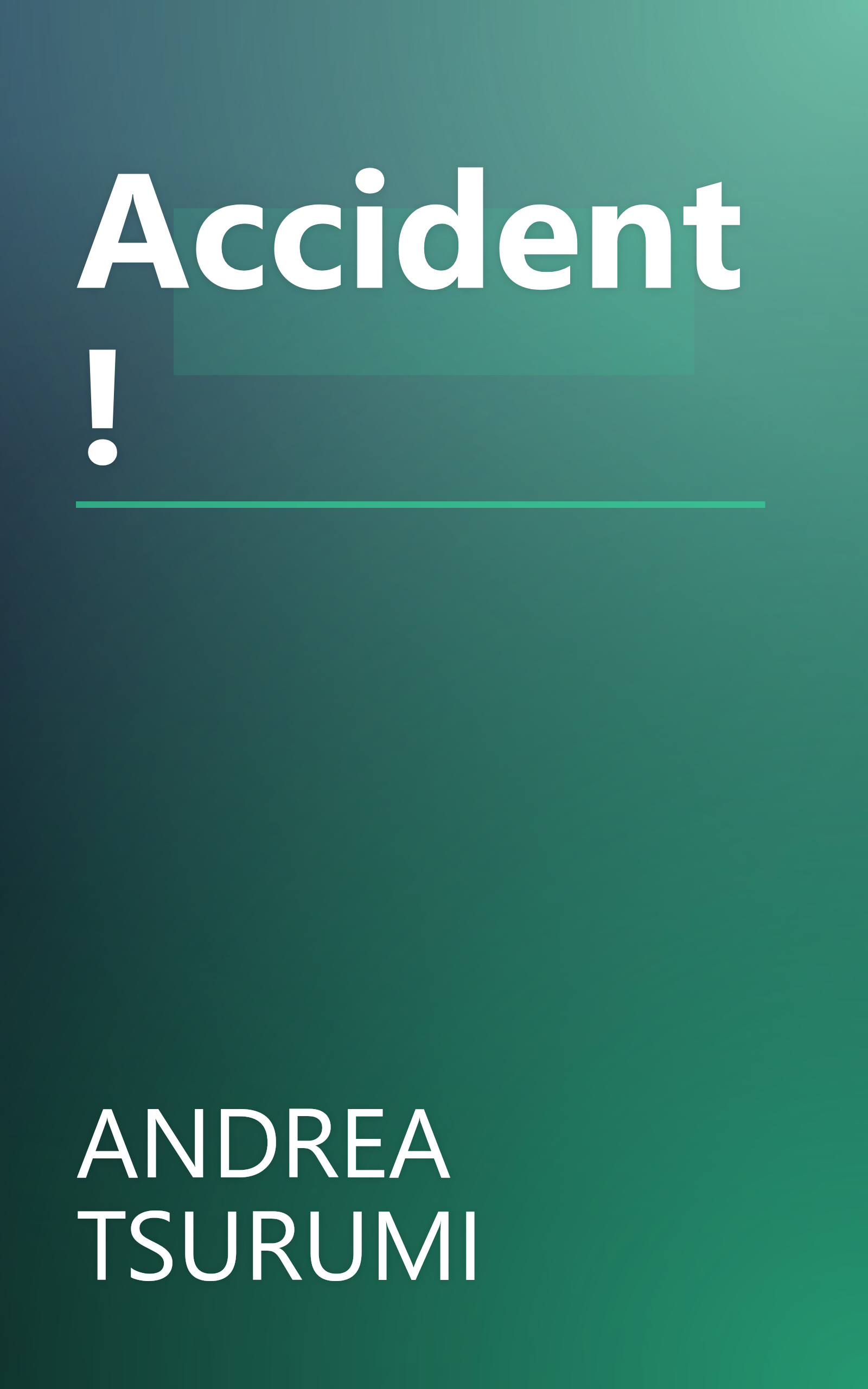 Accident! book cover