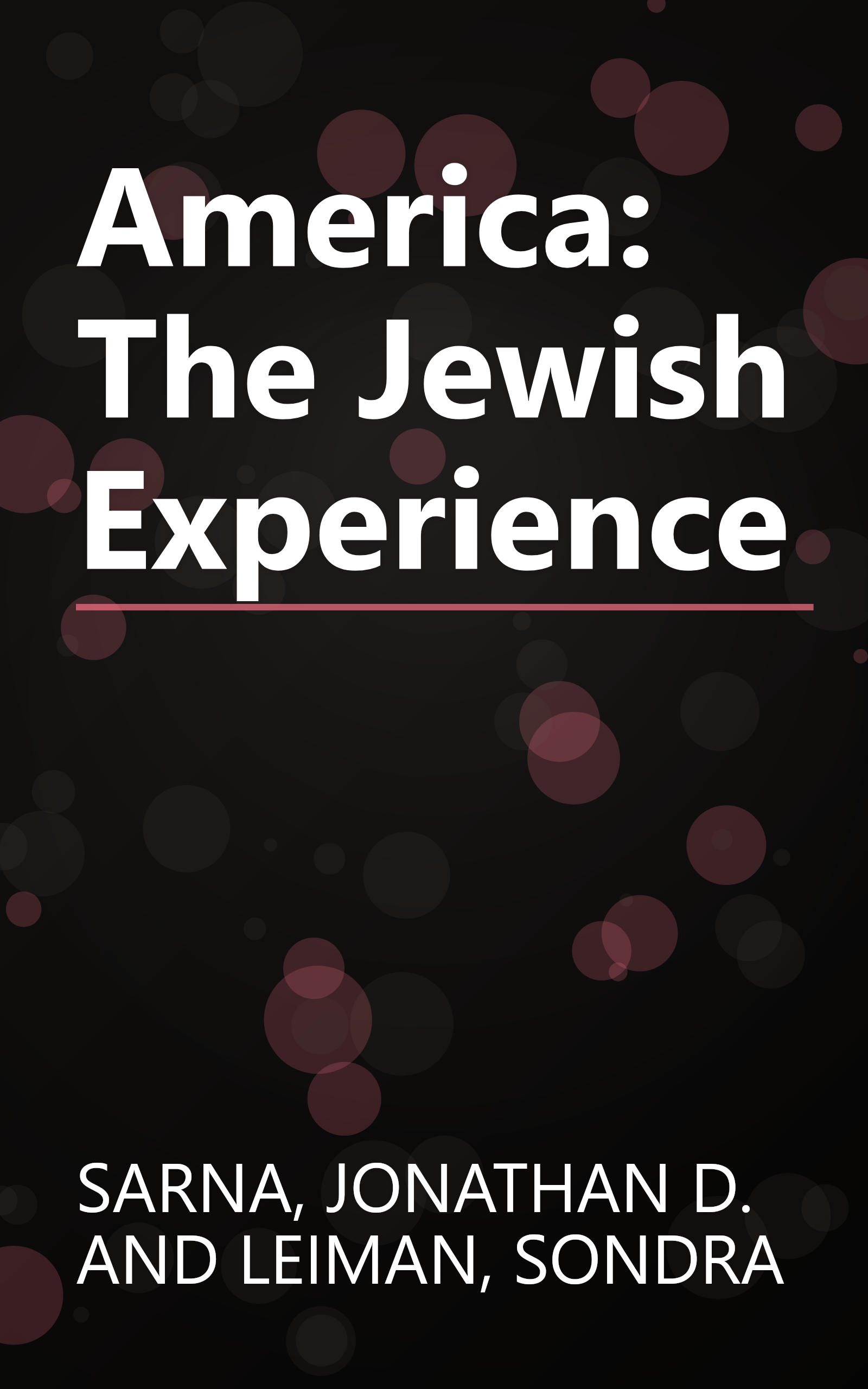 America: The Jewish Experience book cover