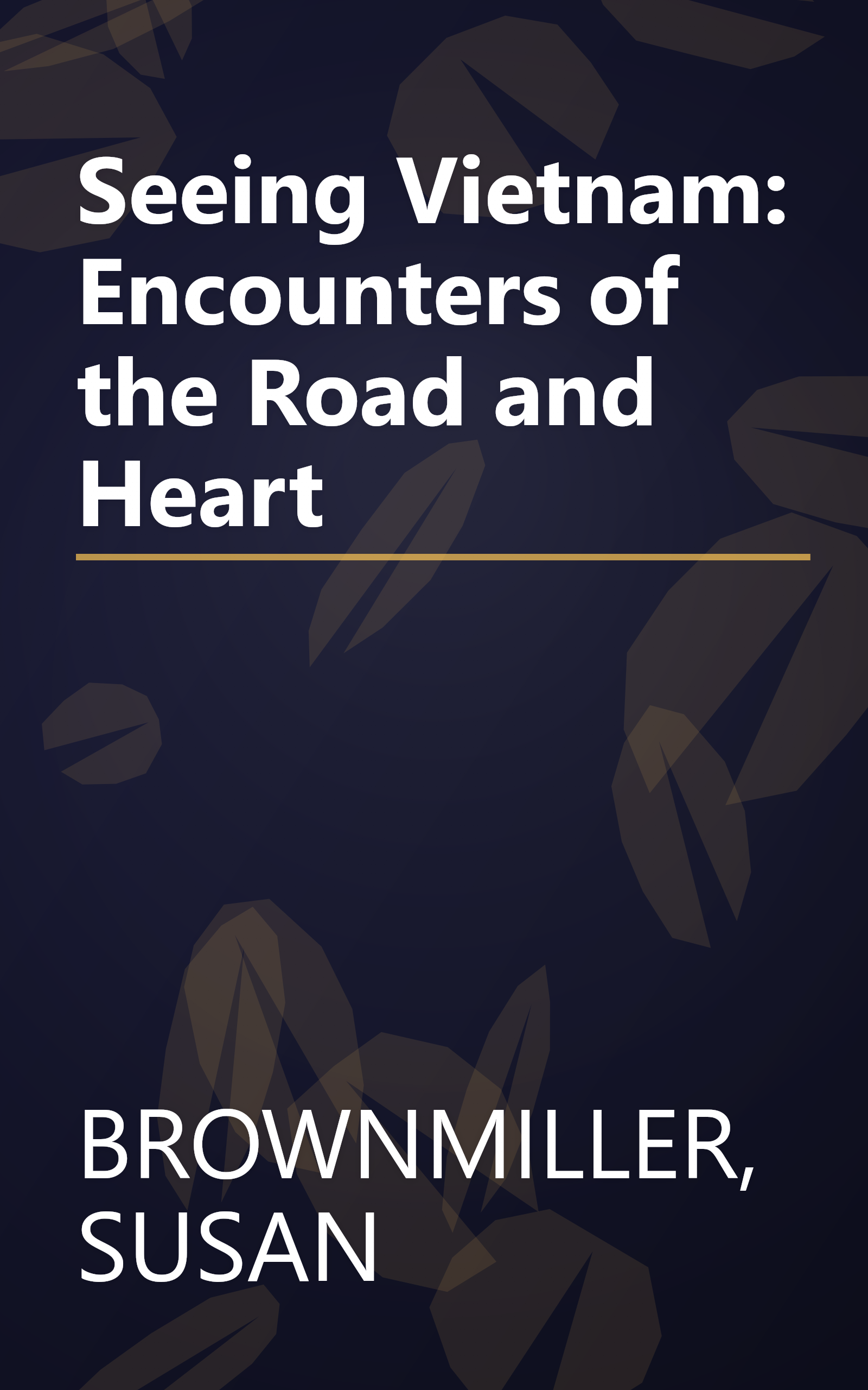 Seeing Vietnam: Encounters of the Road and Heart book cover