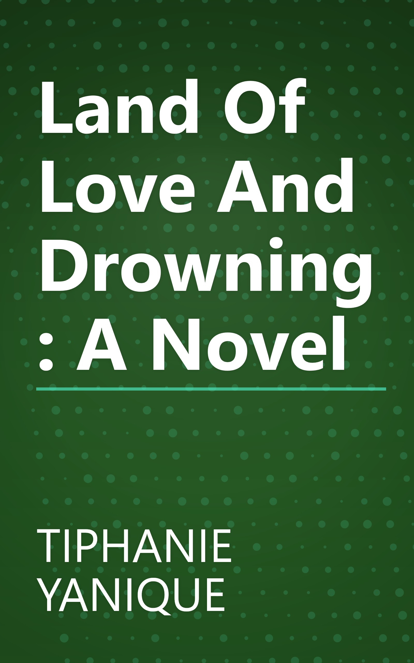 Land Of Love And Drowning: A Novel book cover
