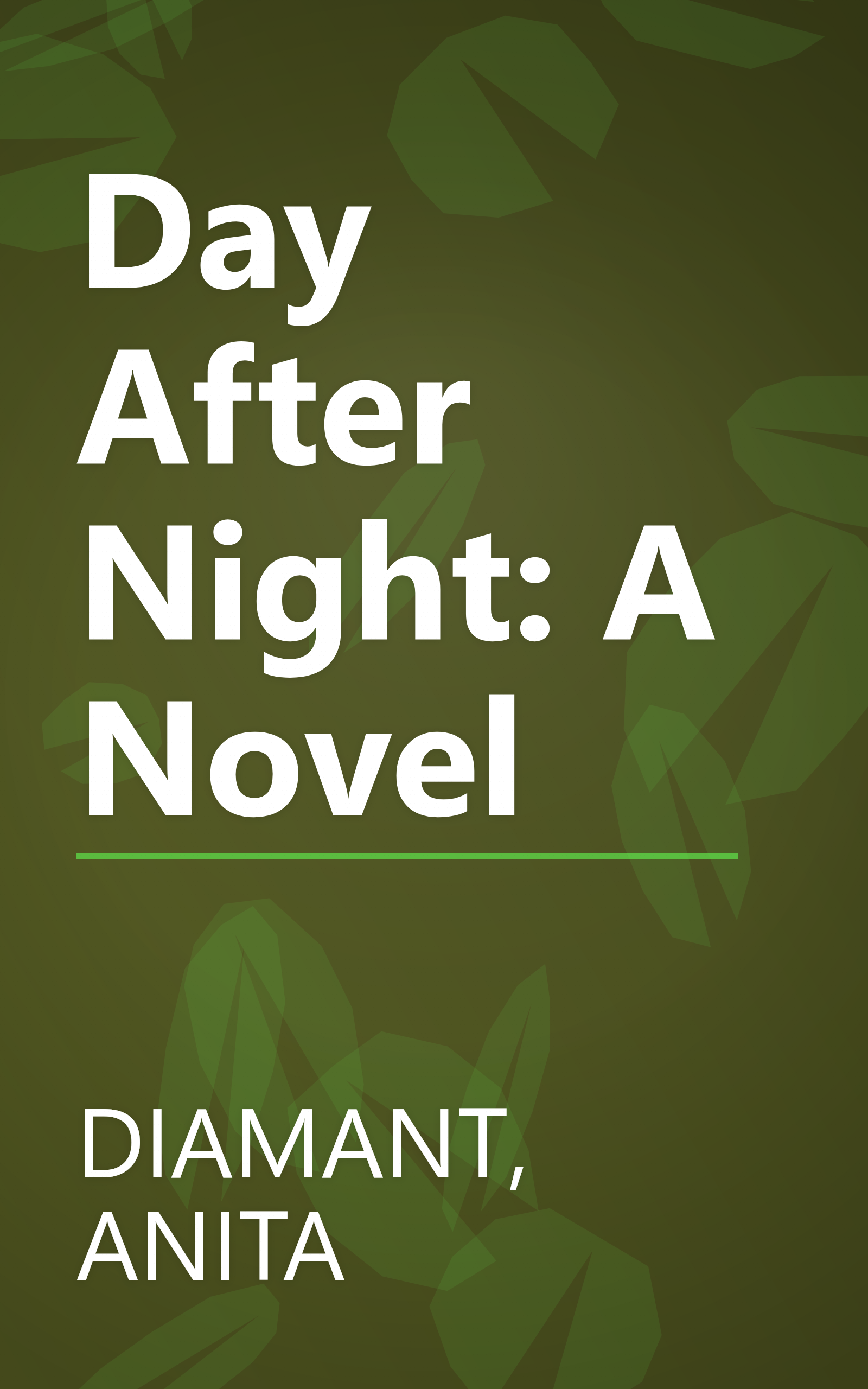 Day After Night: A Novel book cover