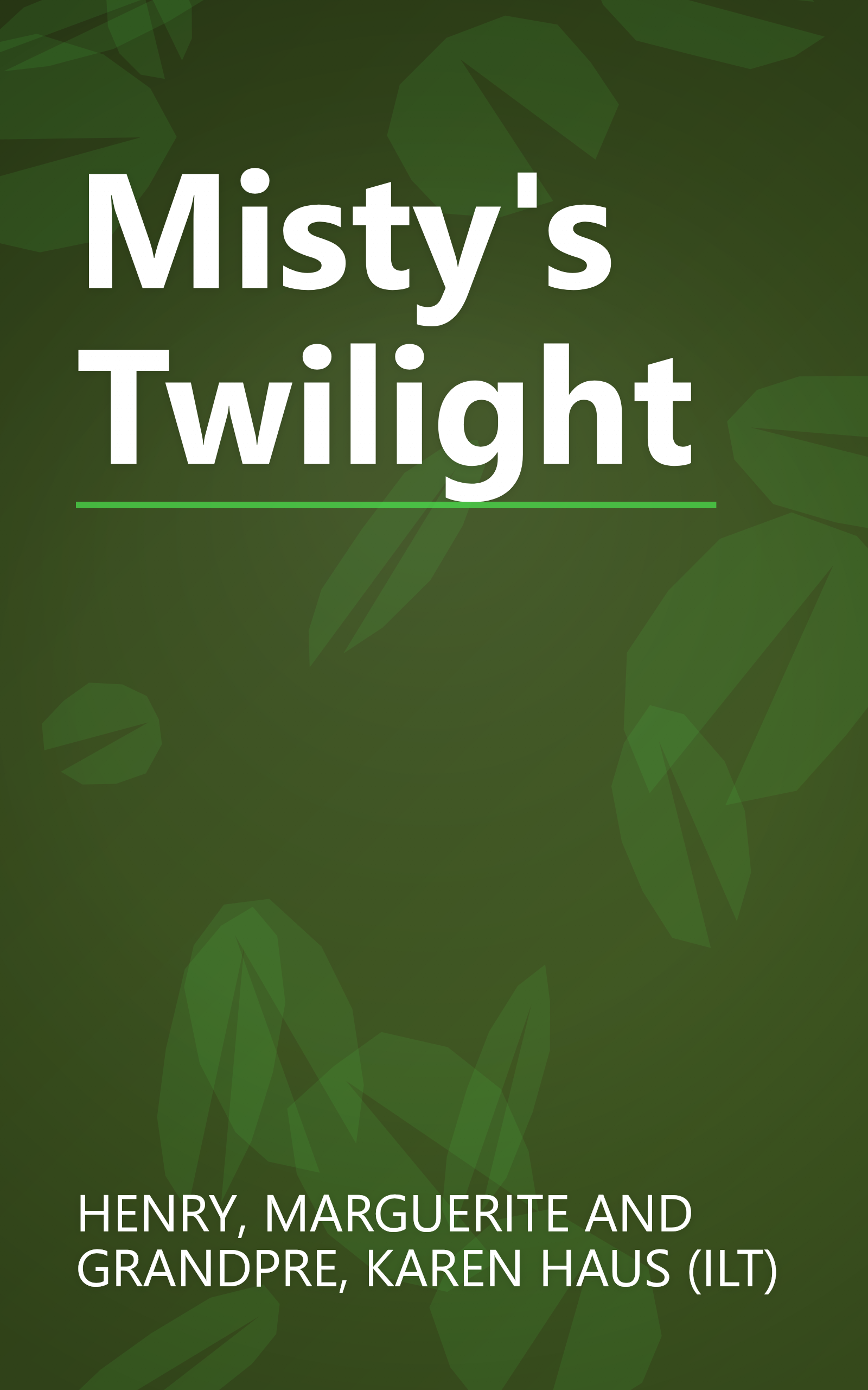 Misty's Twilight book cover