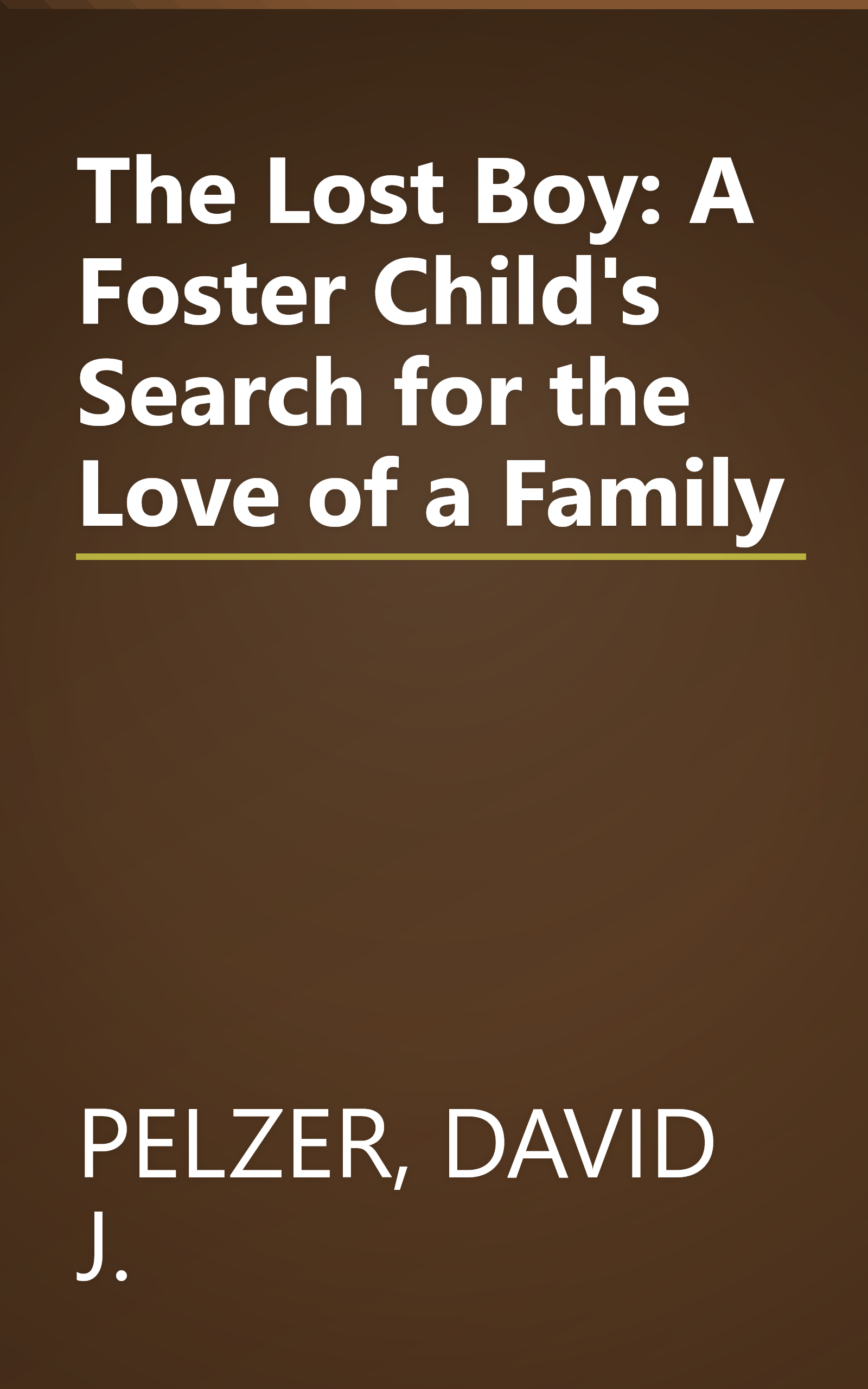 The Lost Boy: A Foster Child's Search for the Love of a Family book cover