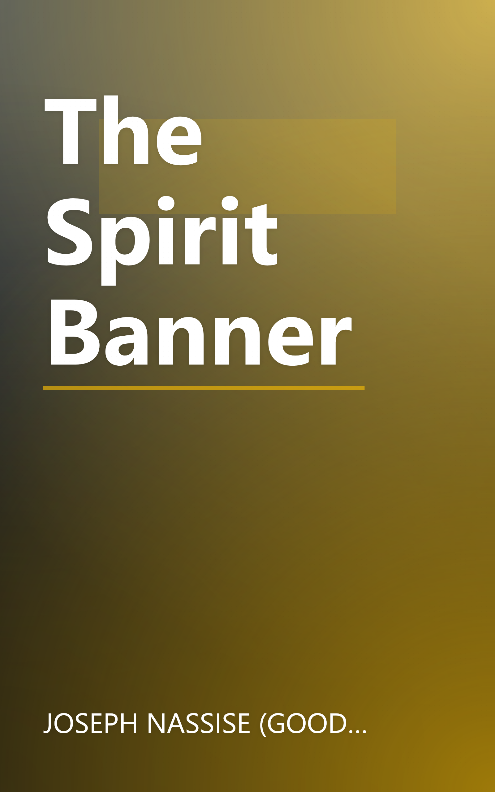 The Spirit Banner book cover