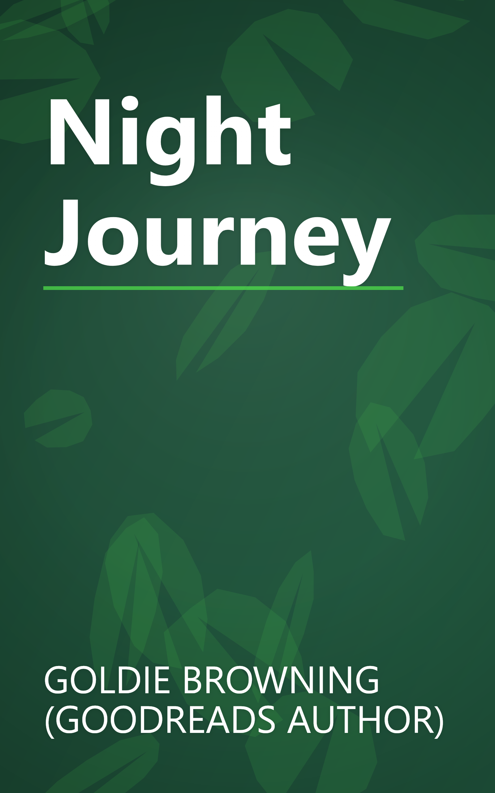 Night Journey book cover