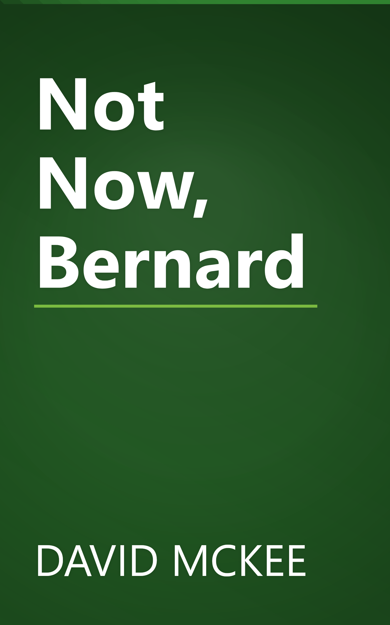 Not Now, Bernard book cover