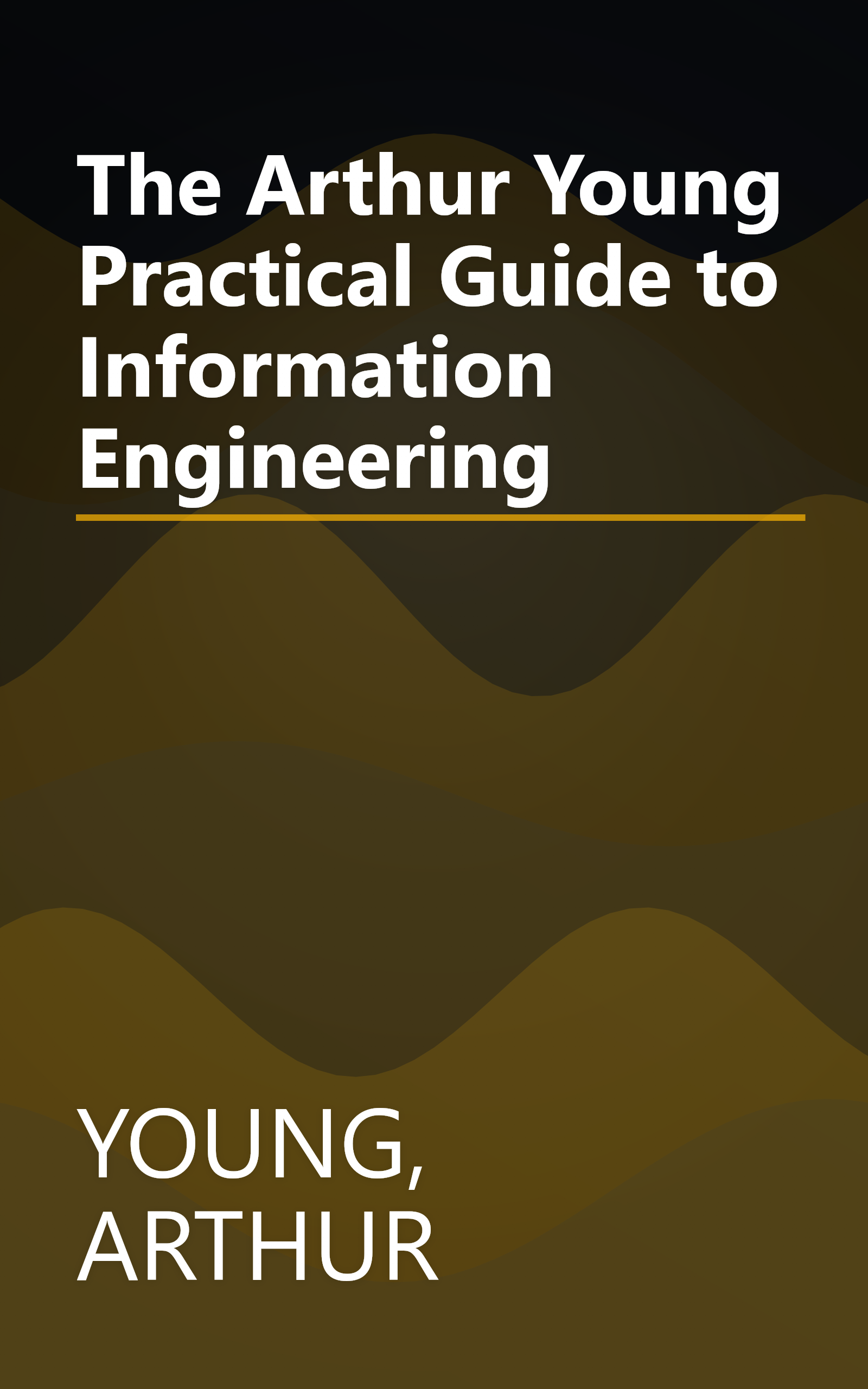 The Arthur Young Practical Guide to Information Engineering book cover