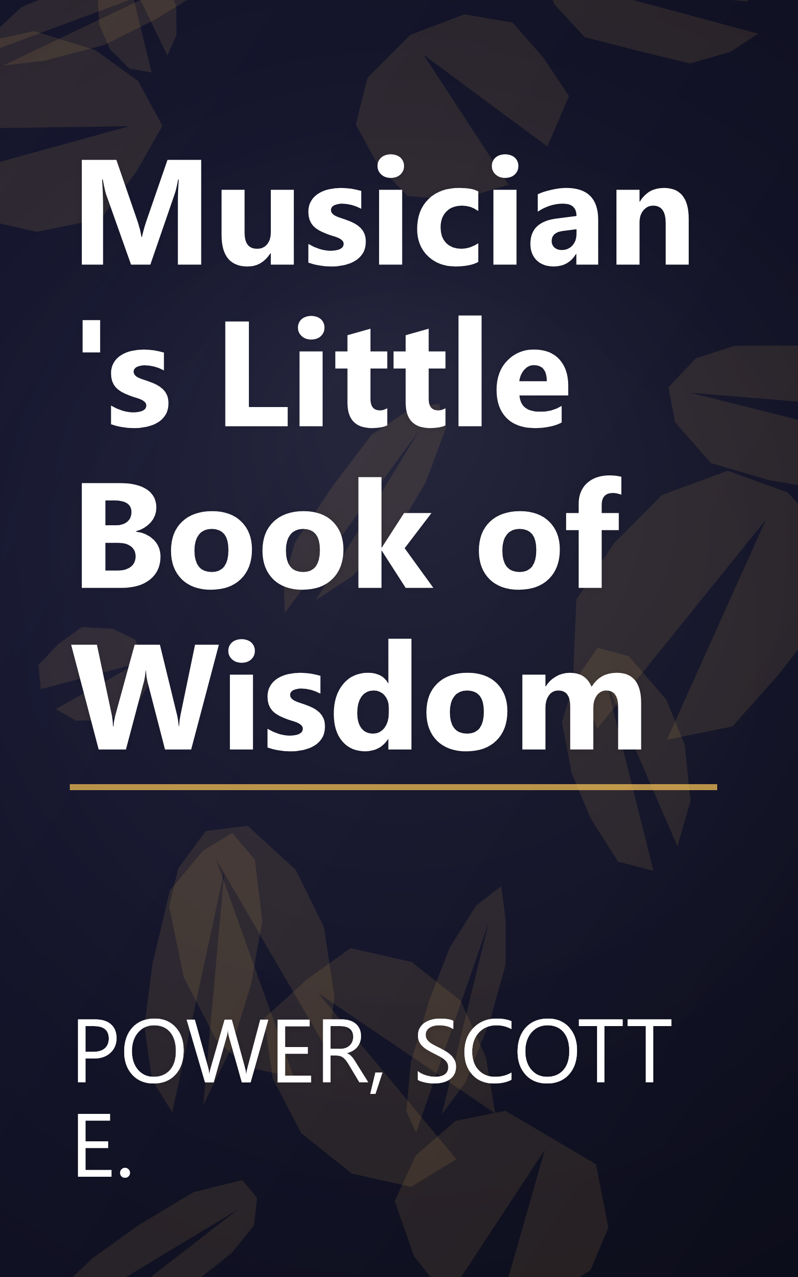 Musician's Little Book of Wisdom book cover