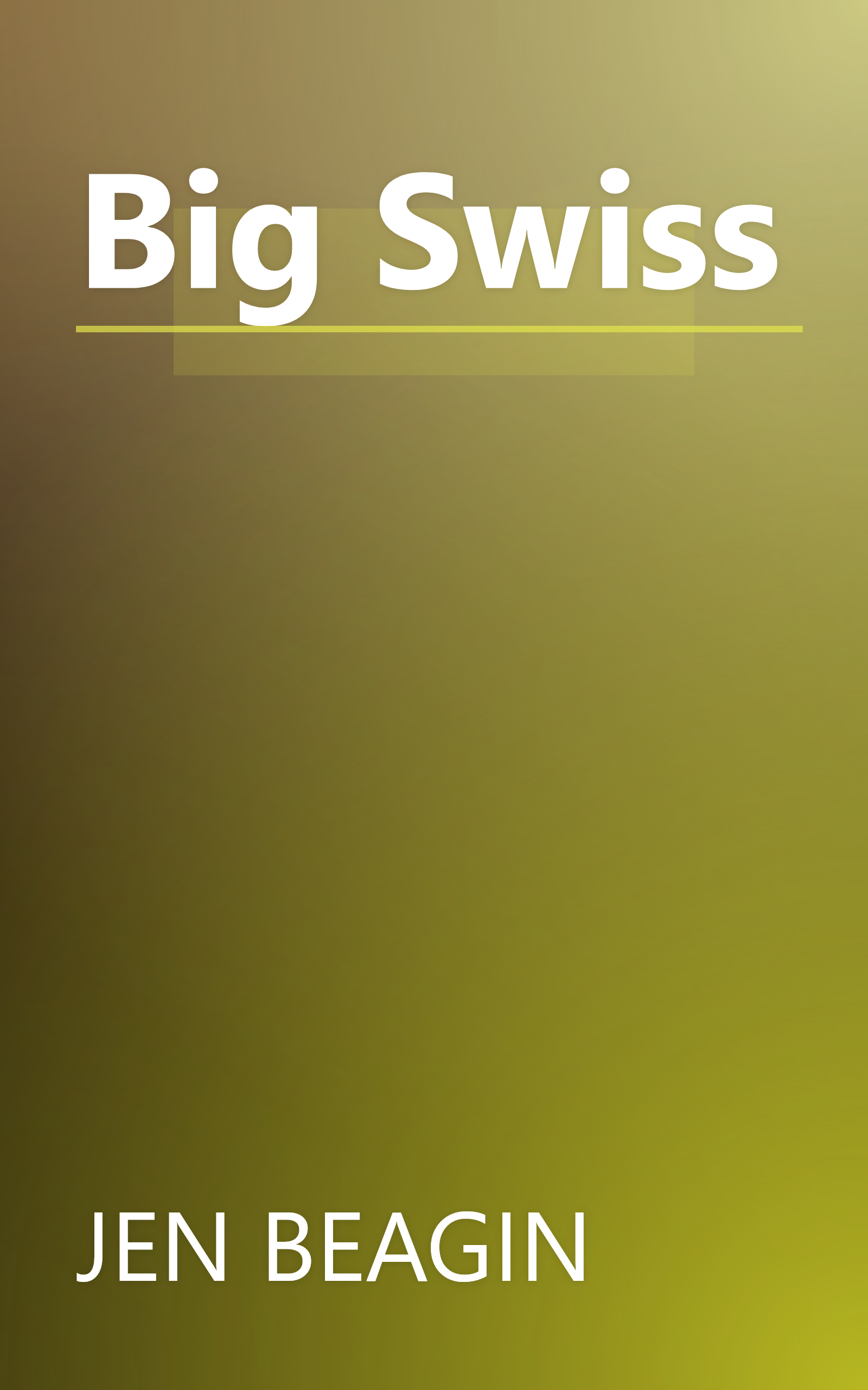 Big Swiss book cover