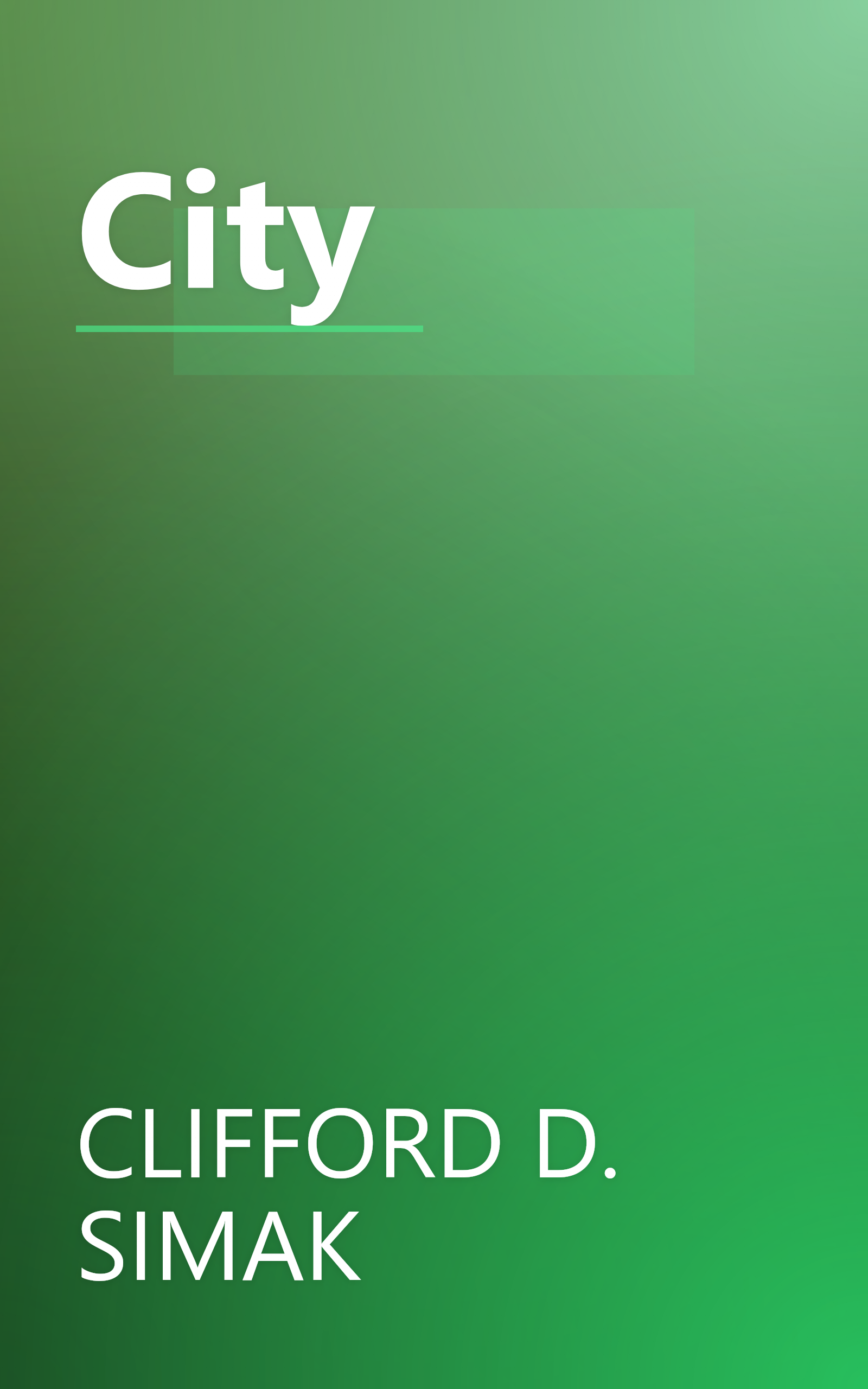 City book cover
