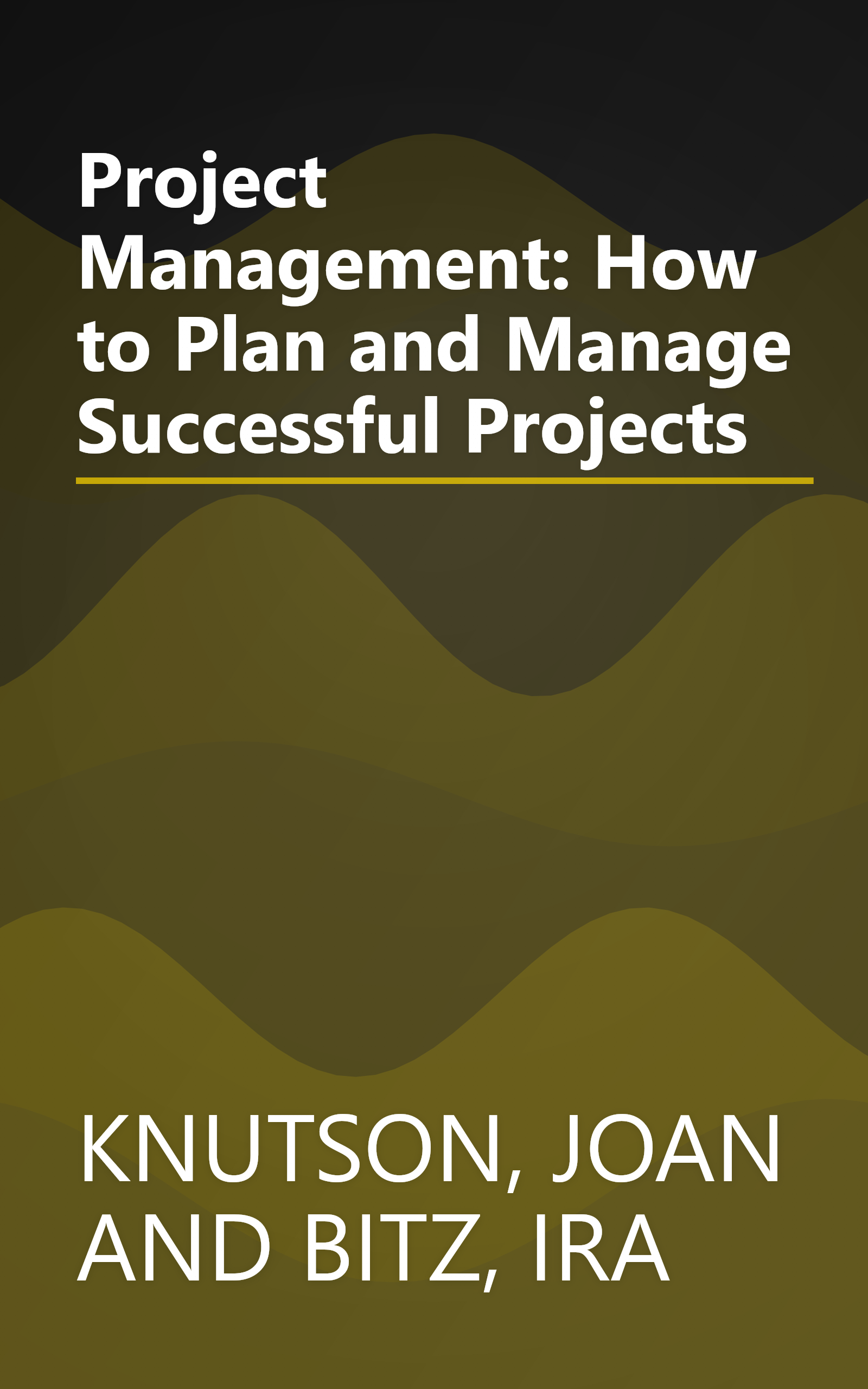 Project Management: How to Plan and Manage Successful Projects book cover