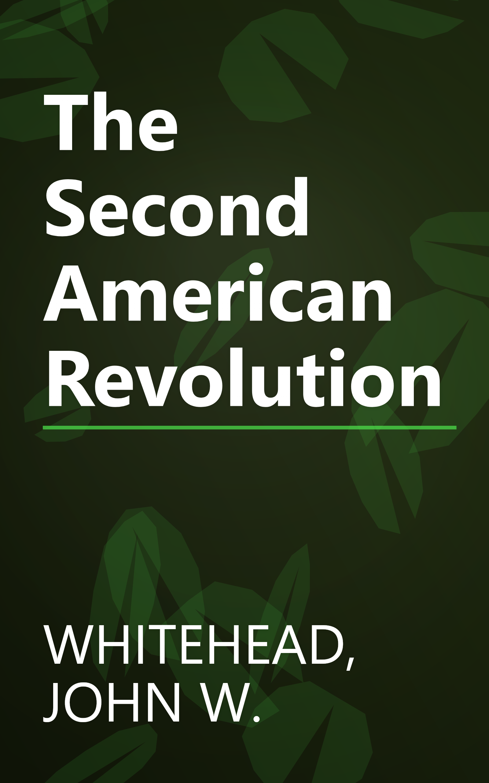 The Second American Revolution book cover