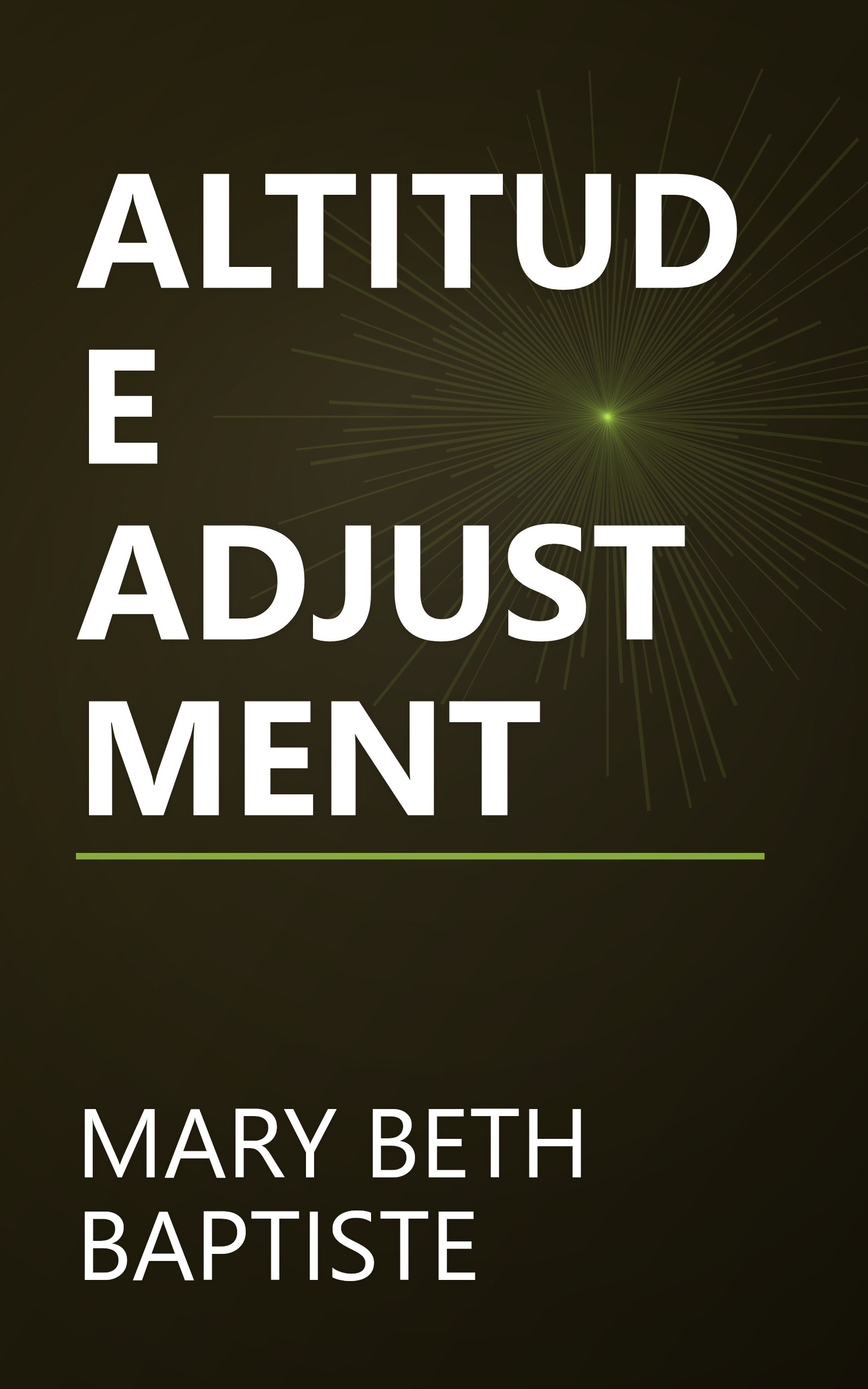ALTITUDE ADJUSTMENT book cover