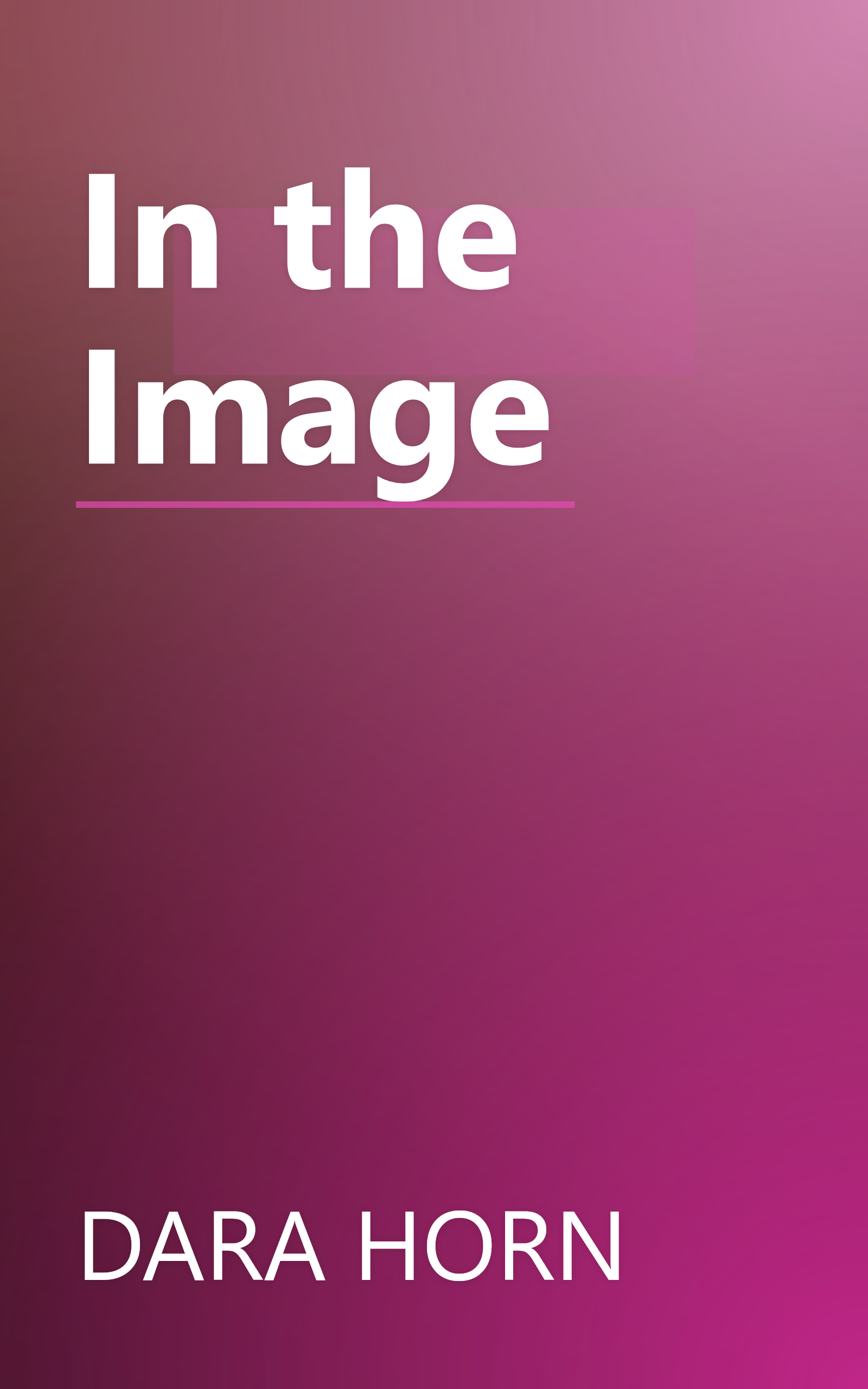 In the Image book cover