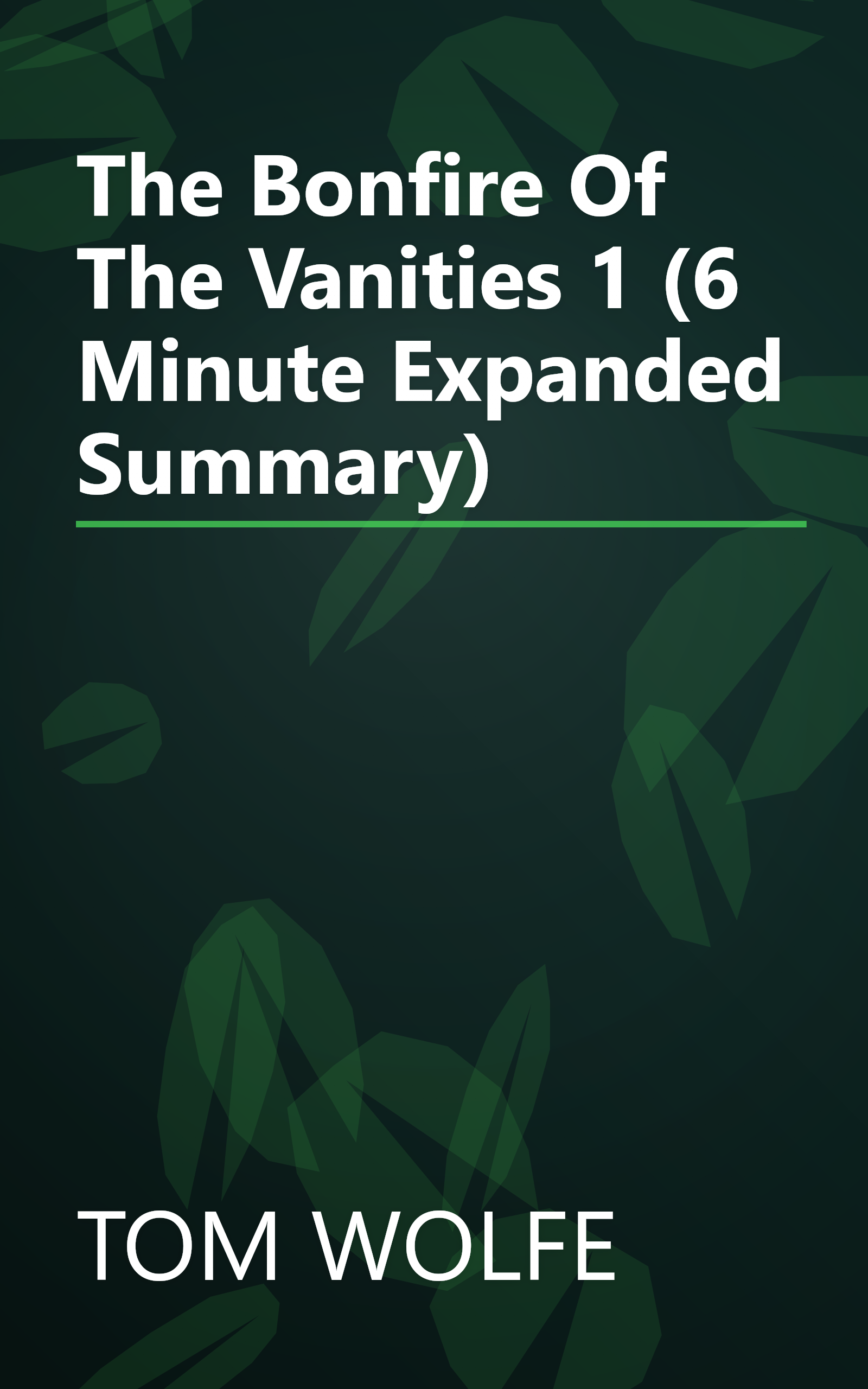 The Bonfire Of The Vanities 1 (6 Minute   Expanded Summary) book cover