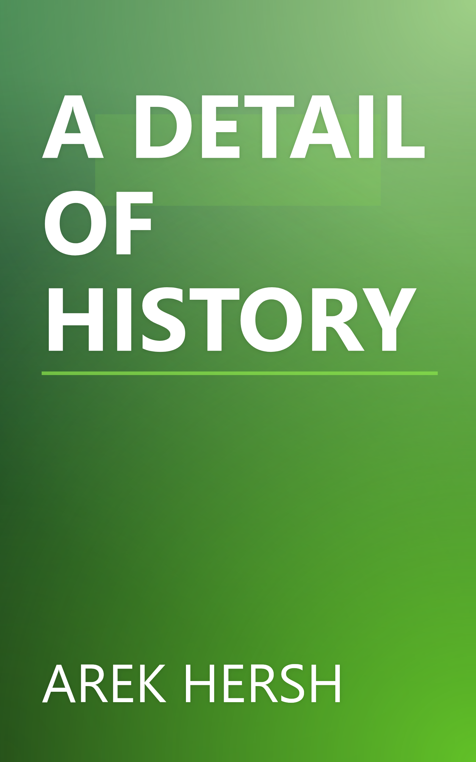 A DETAIL OF HISTORY book cover