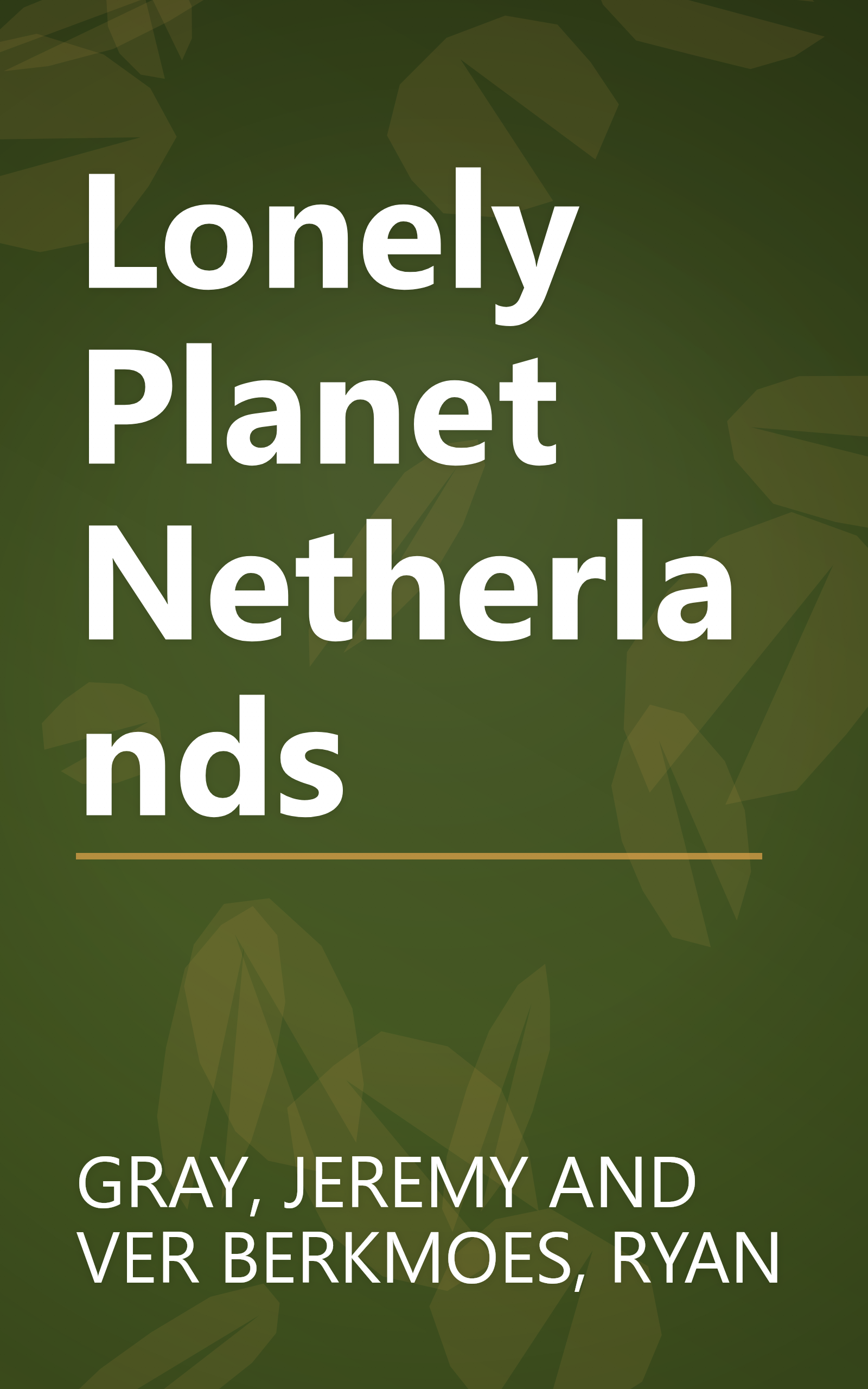 Lonely Planet Netherlands book cover