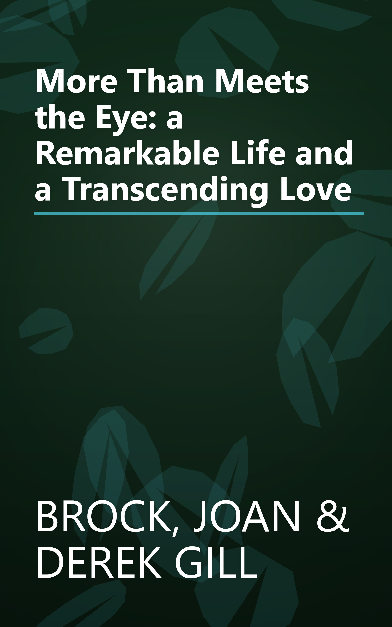 More Than Meets the Eye: a Remarkable Life and a Transcending Love book cover