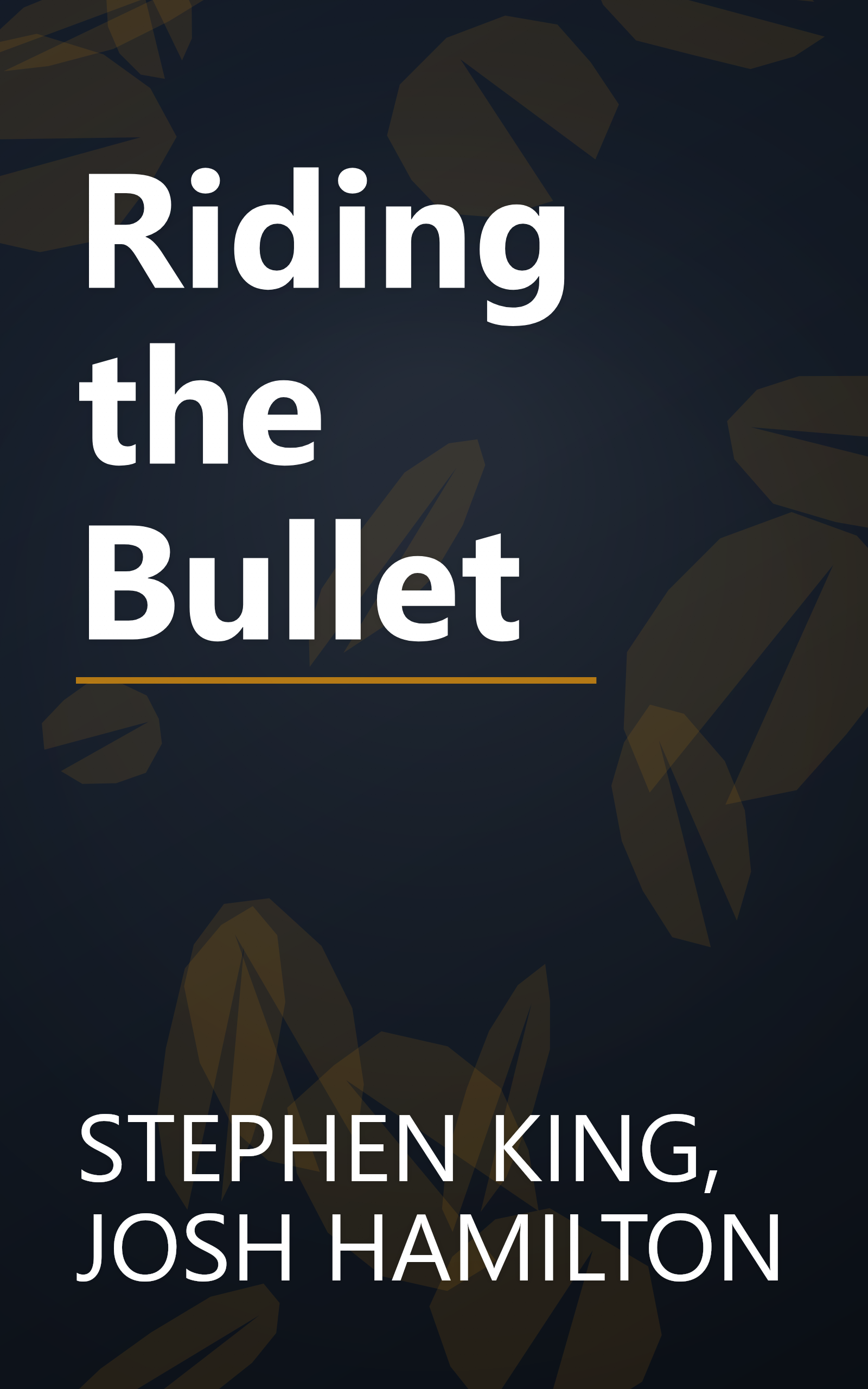 Riding the Bullet book cover