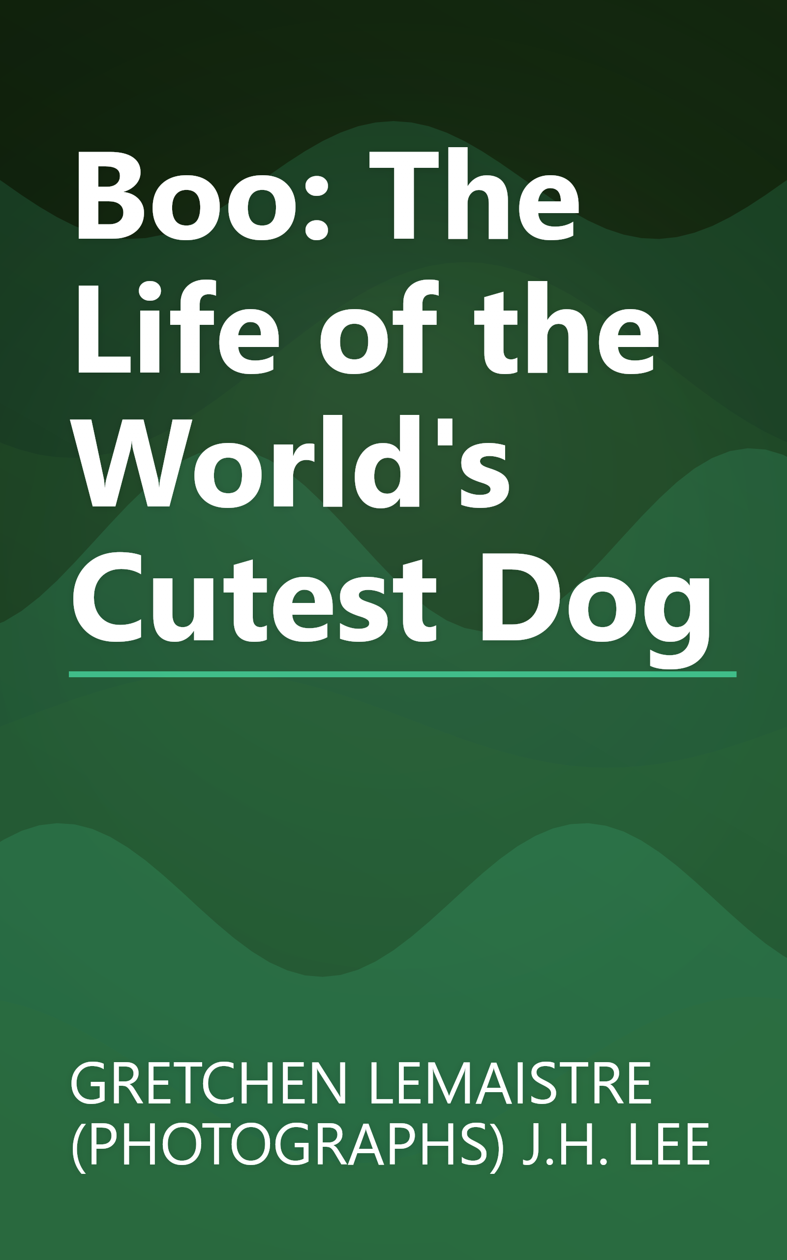 Boo: The Life of the World's Cutest Dog book cover