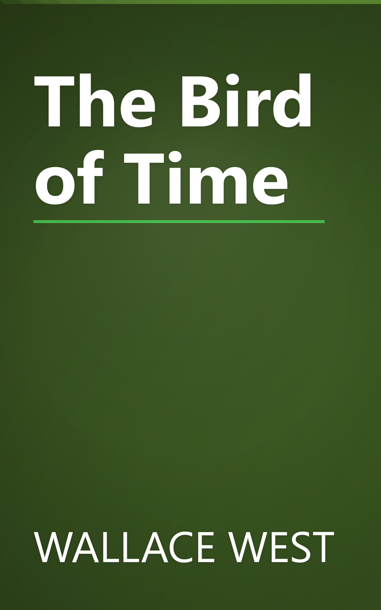 The Bird of Time book cover