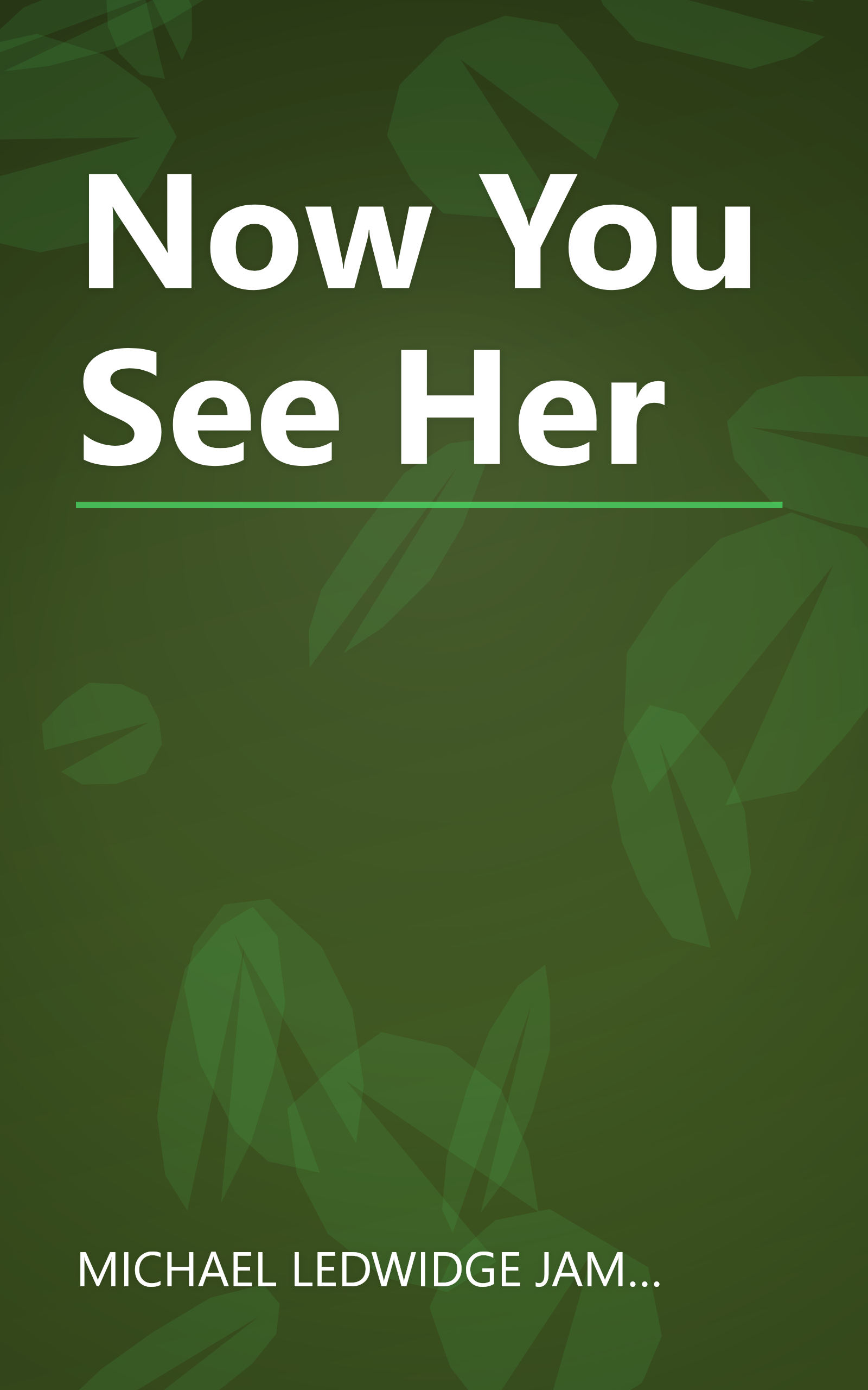 Now You See Her book cover