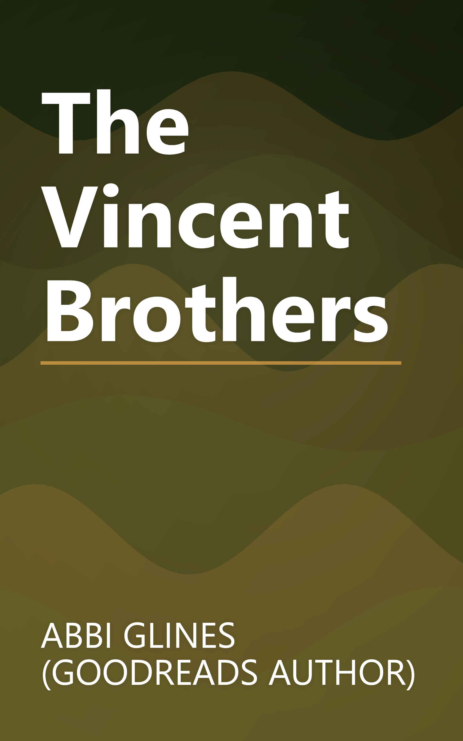 The Vincent Brothers book cover