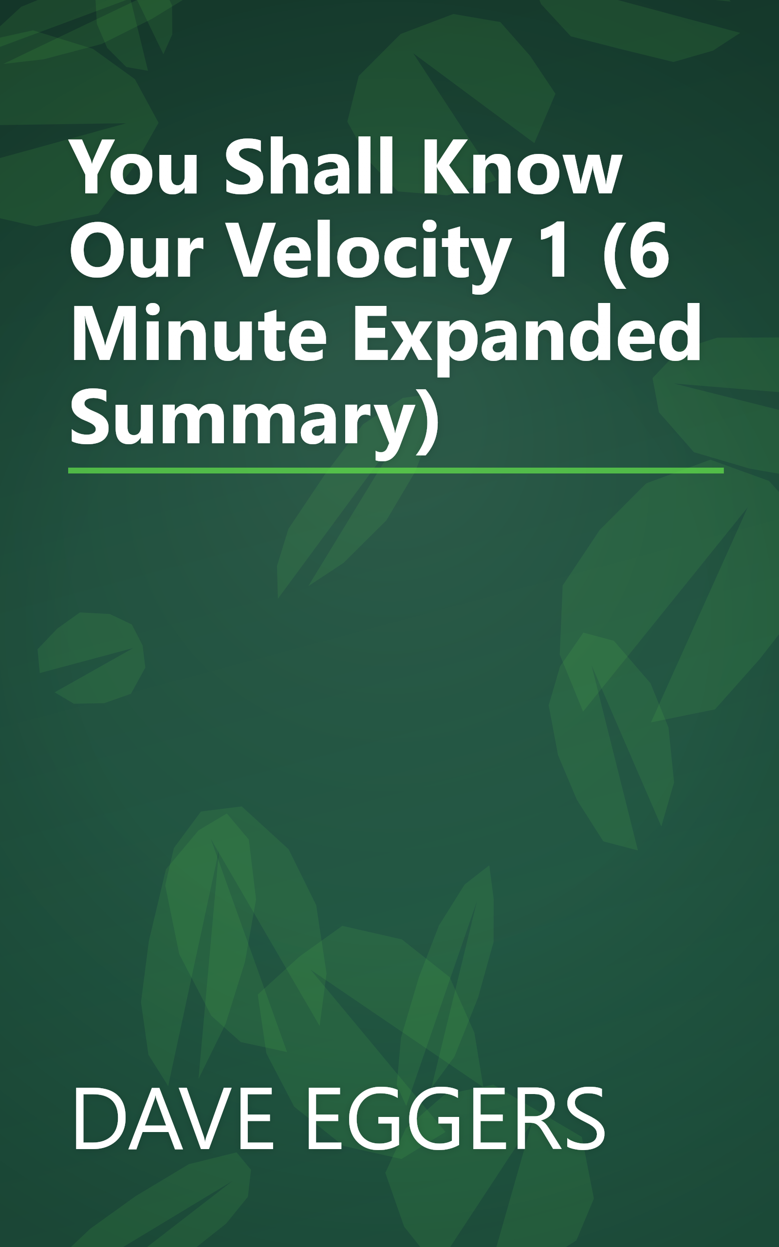 You Shall Know Our Velocity  1 (6 Minute   Expanded Summary) book cover