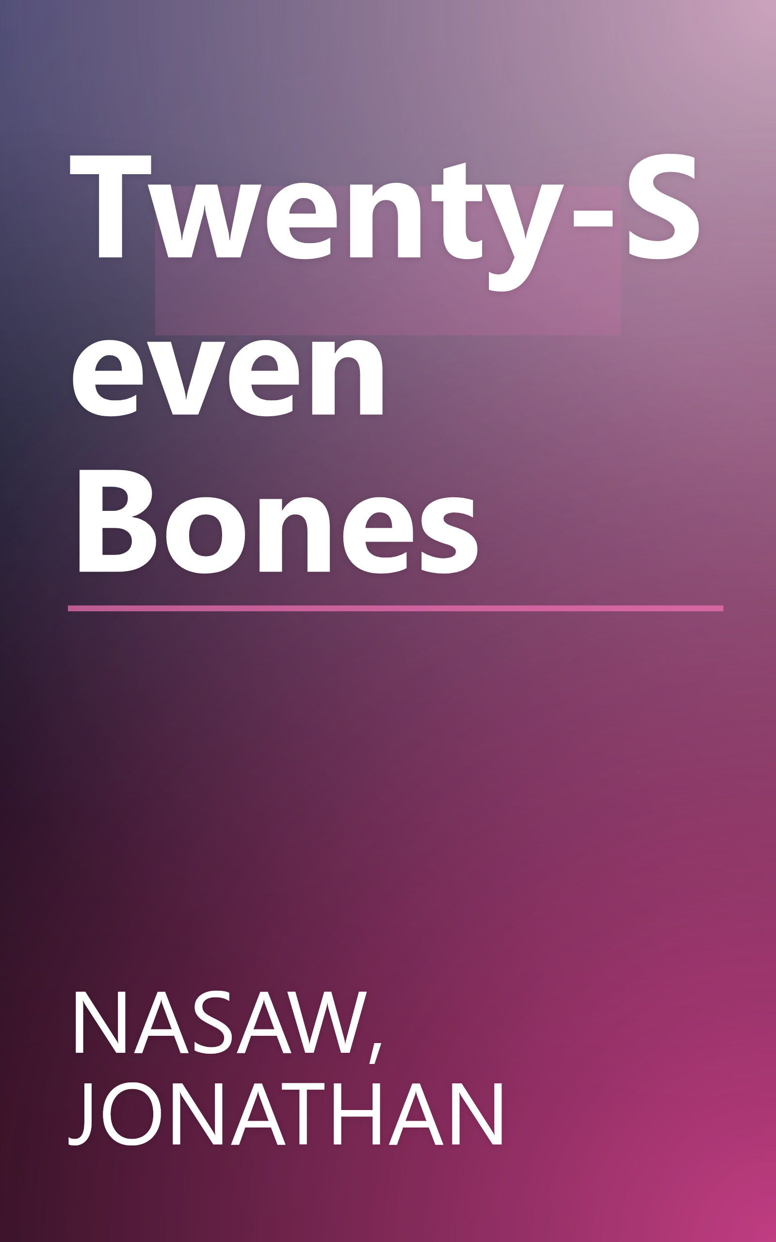Twenty-Seven Bones book cover