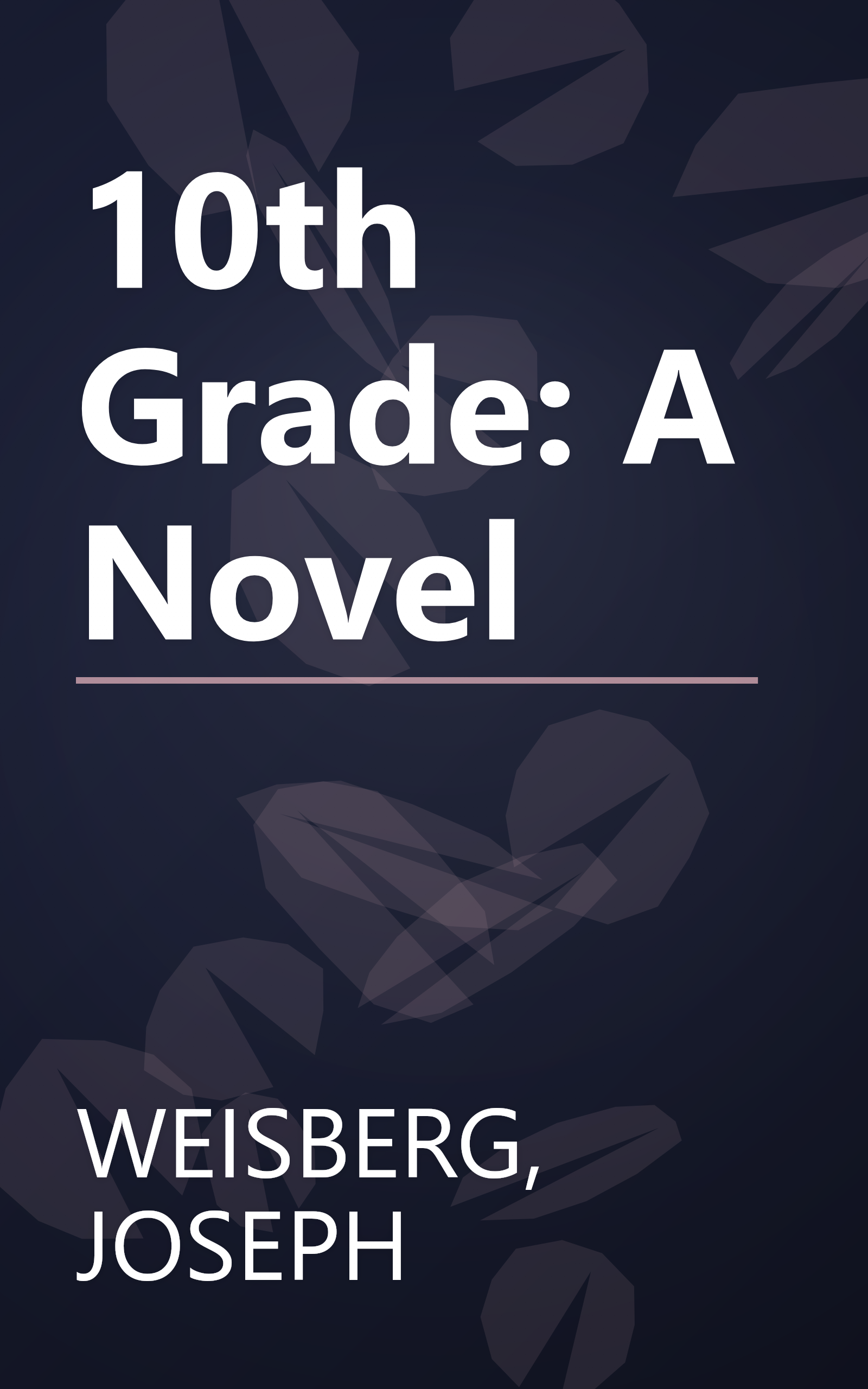 10th Grade: A Novel book cover