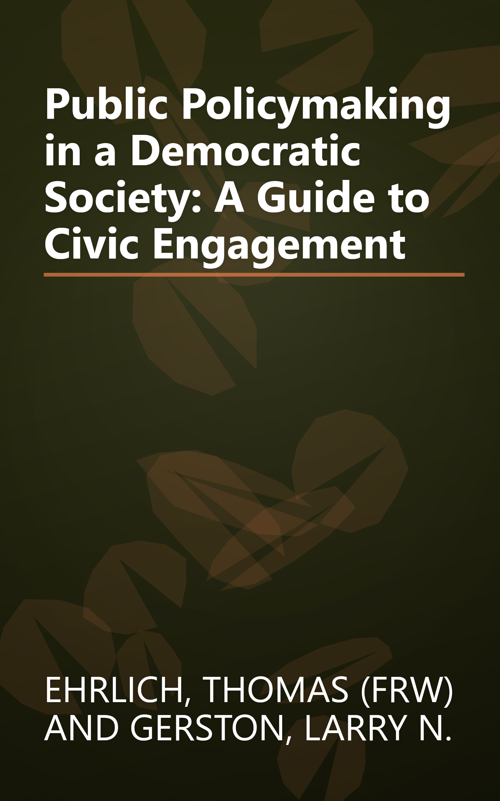 Public Policymaking in a Democratic Society: A Guide to Civic Engagement book cover