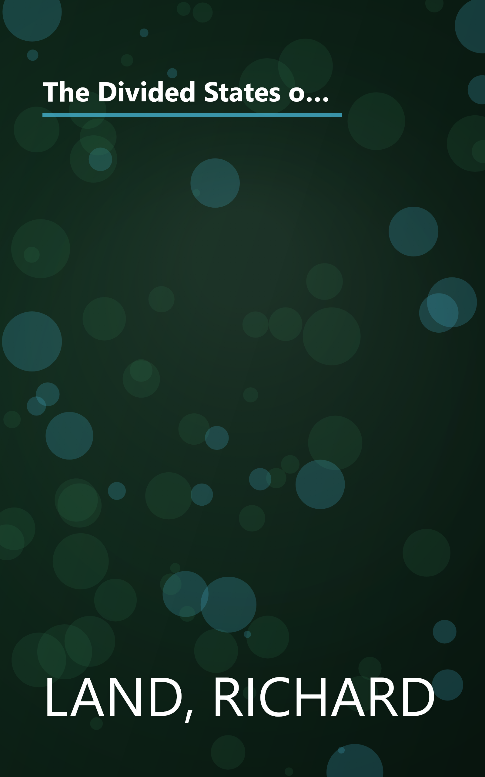 The Divided States of America?: What Liberals And Conservatives Are Missing in the God-and-country Shouting Match book cover