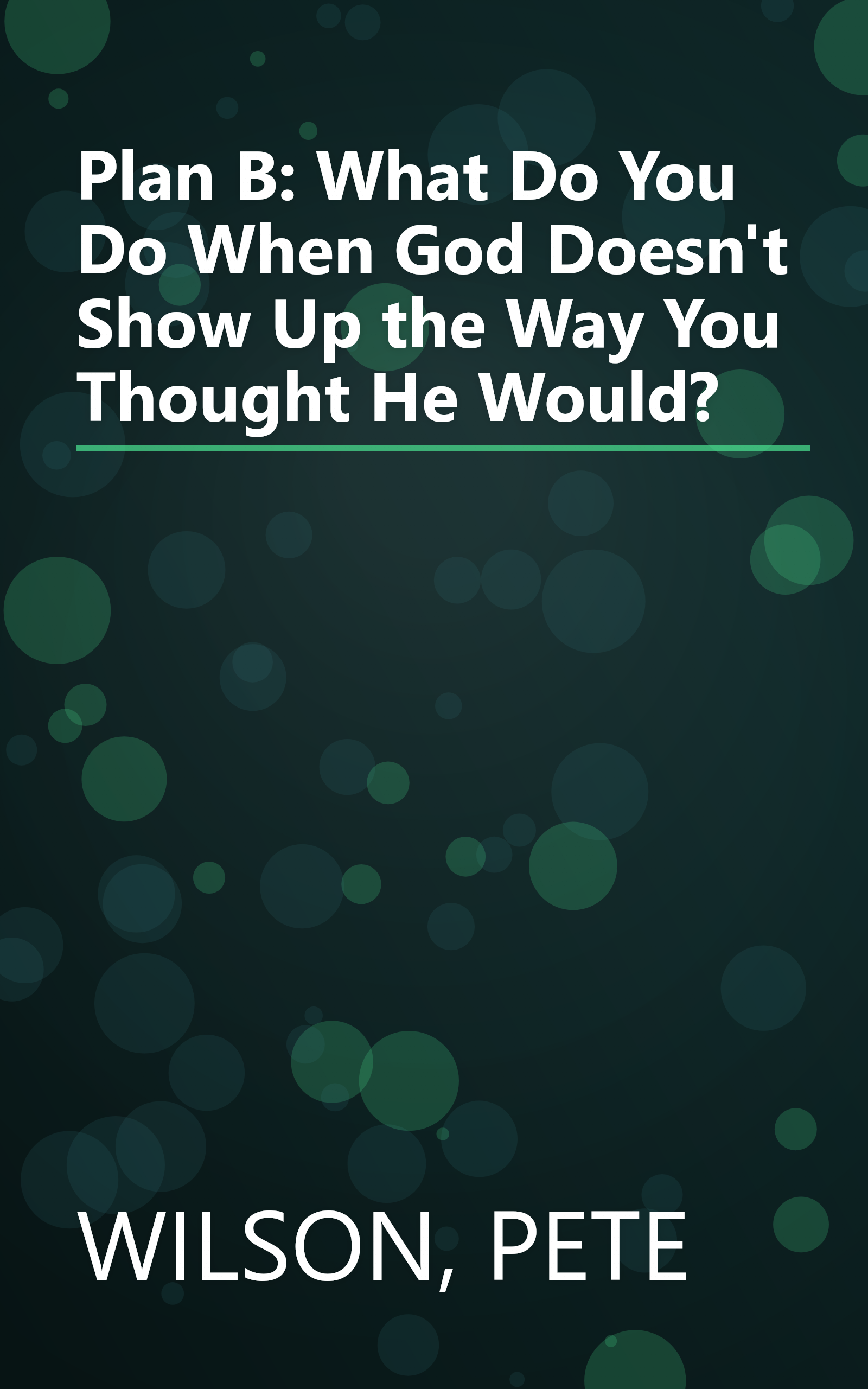 Plan B: What Do You Do When God Doesn't Show Up the Way You Thought He Would? book cover