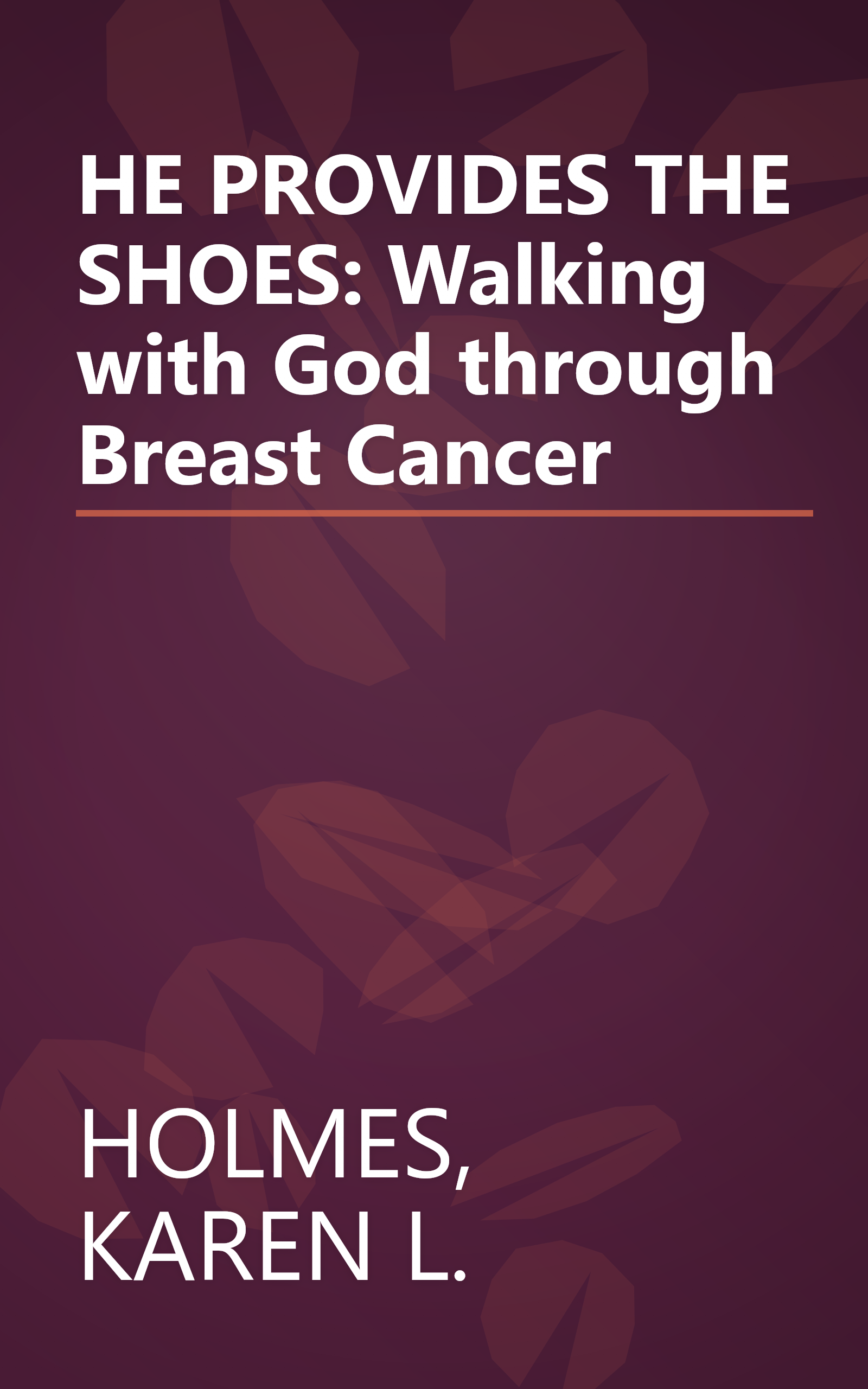 HE PROVIDES THE SHOES: Walking with God through Breast Cancer book cover