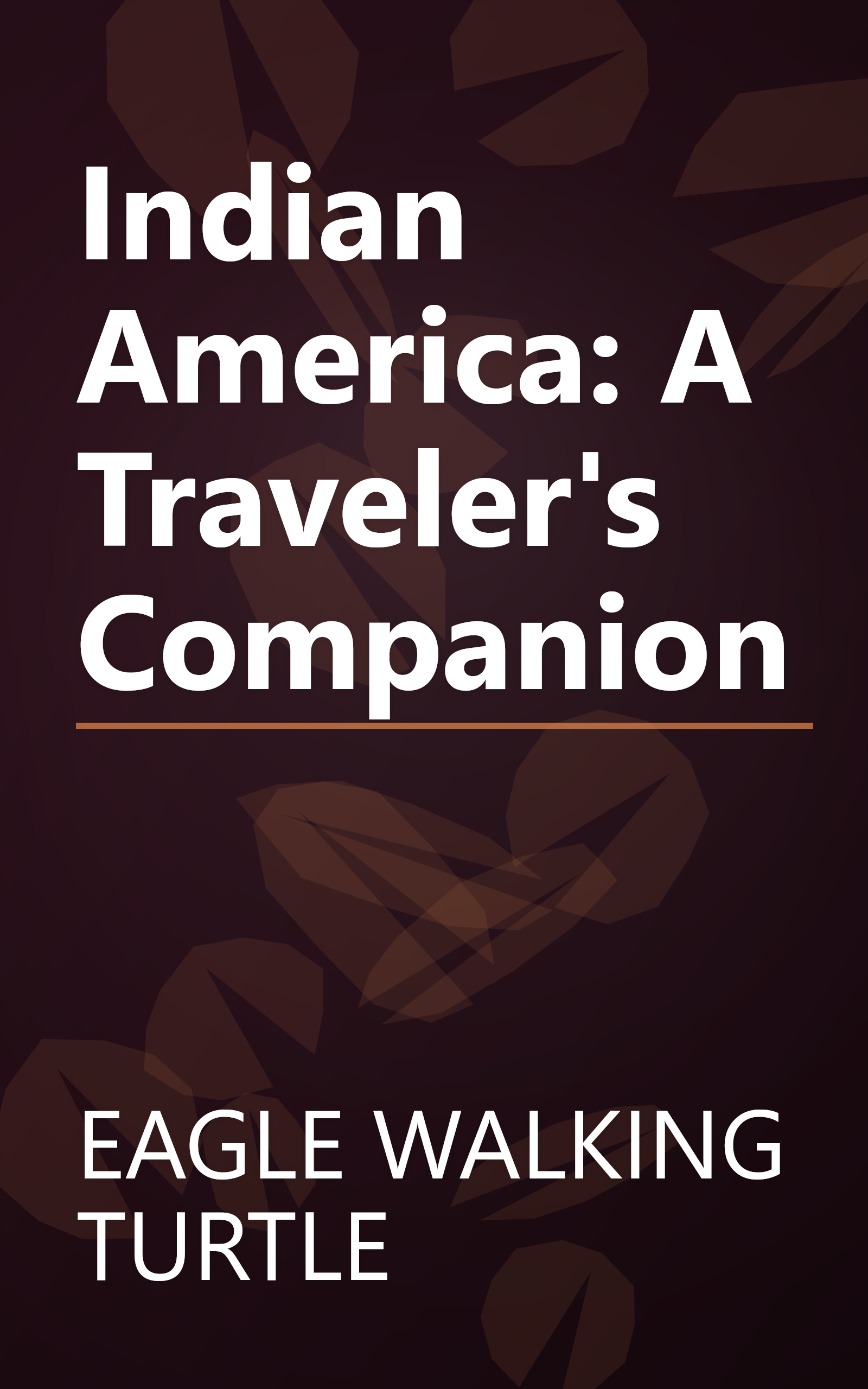 Indian America: A Traveler's Companion book cover