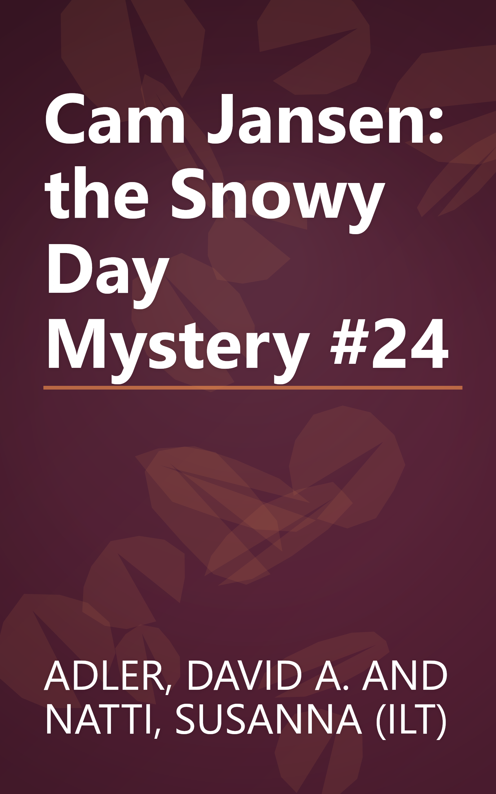Cam Jansen: the Snowy Day Mystery #24 book cover