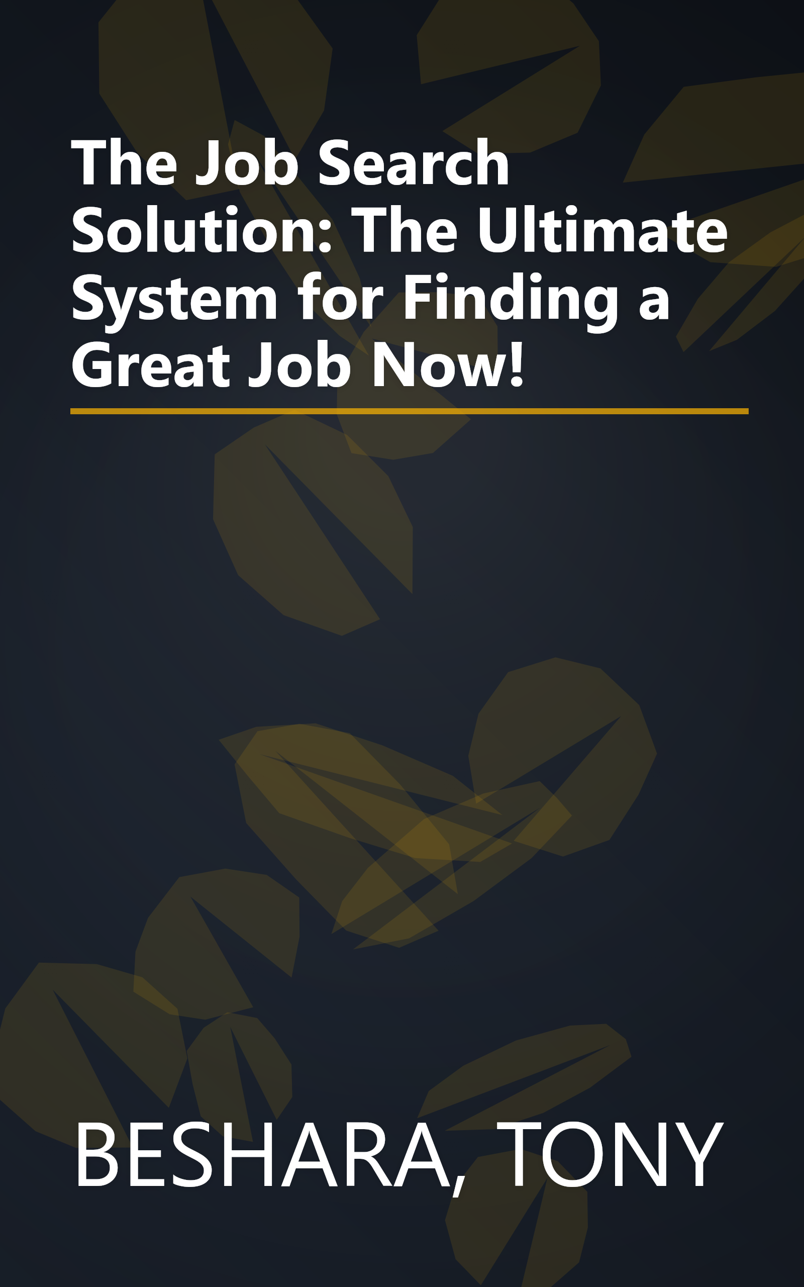 The Job Search Solution: The Ultimate System for Finding a Great Job Now! book cover