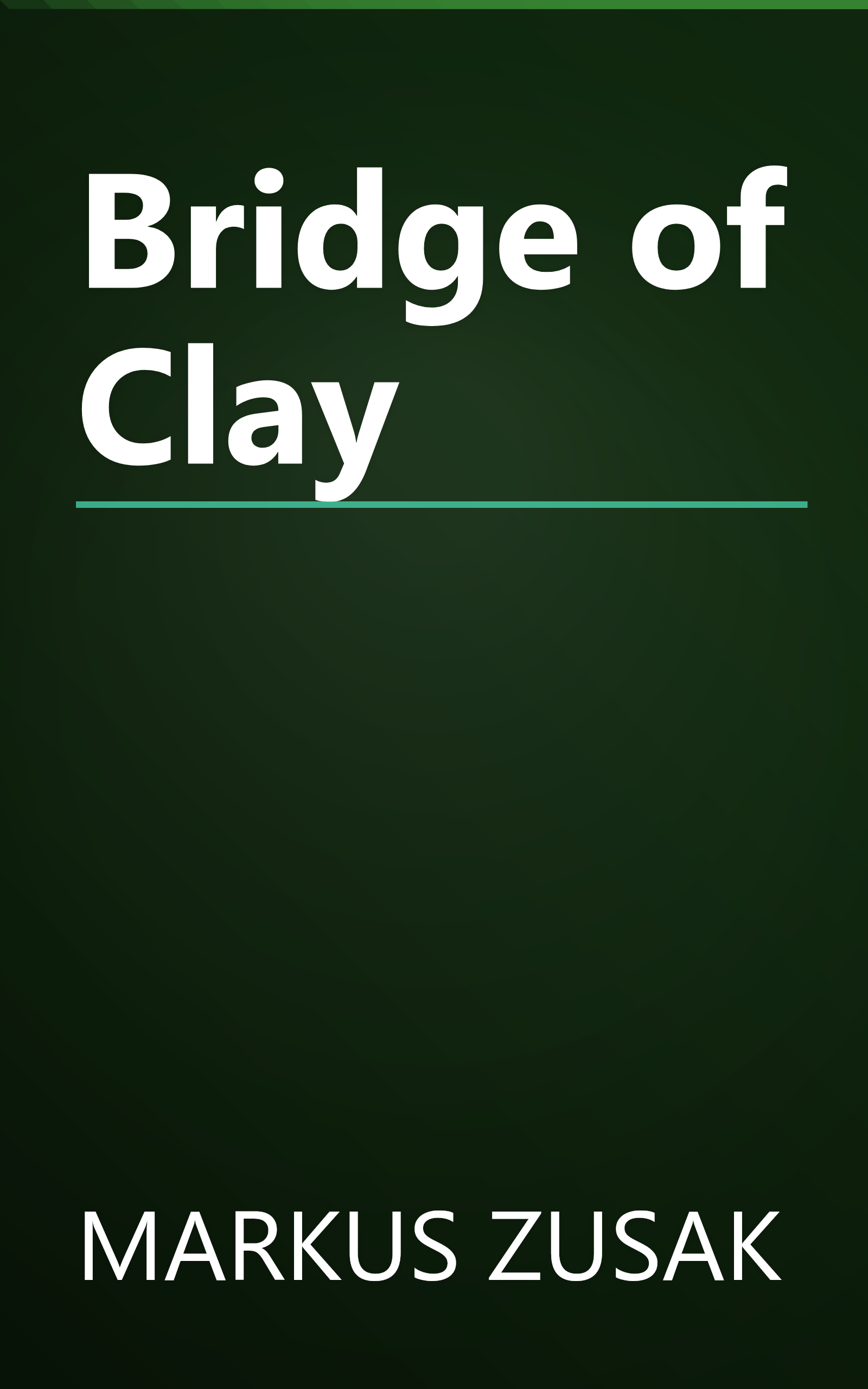 Bridge of Clay book cover