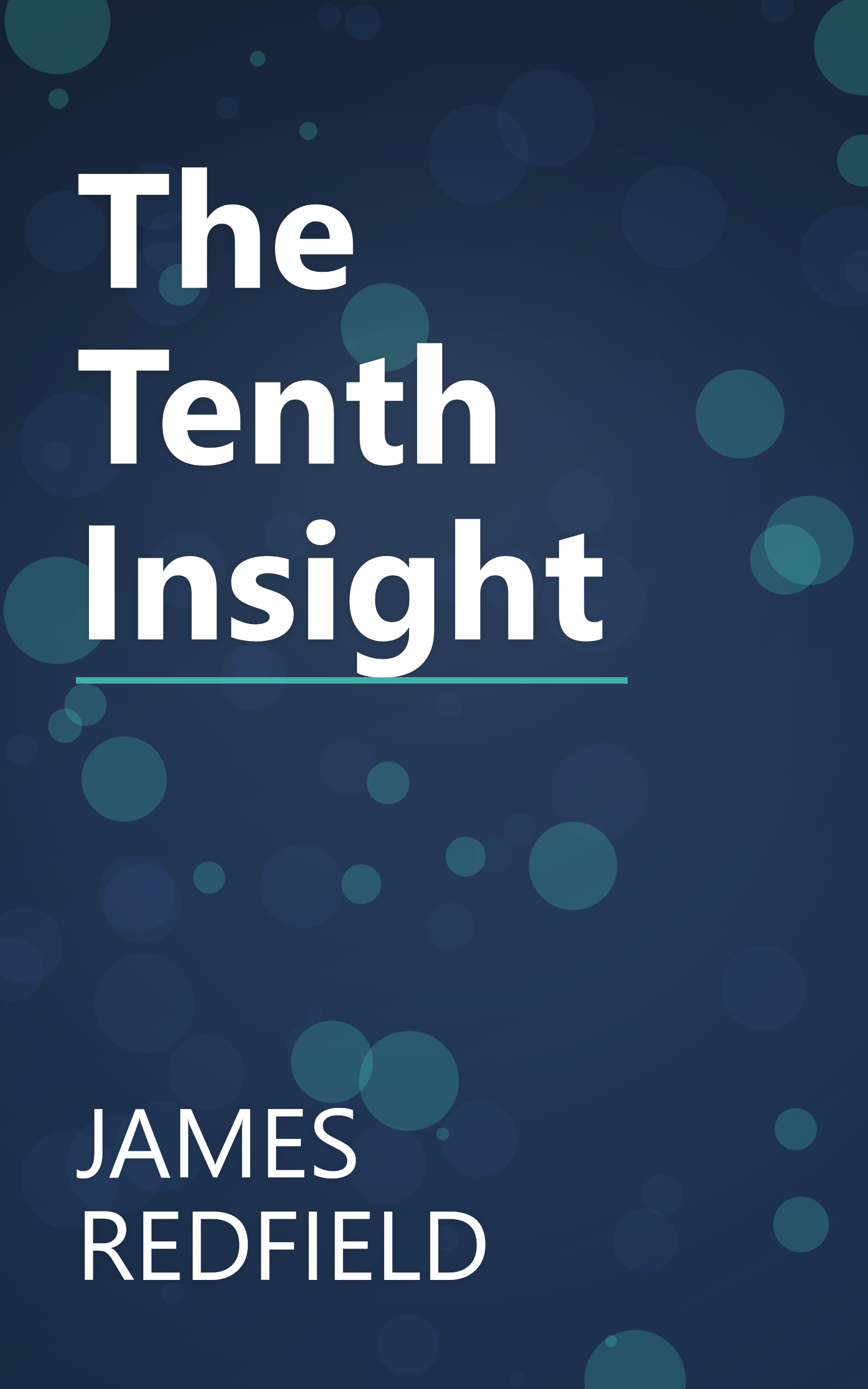 The Tenth Insight book cover